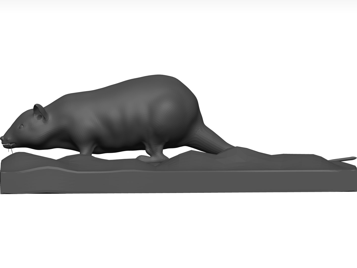 Rat Stl 3D - TurboSquid 1774289