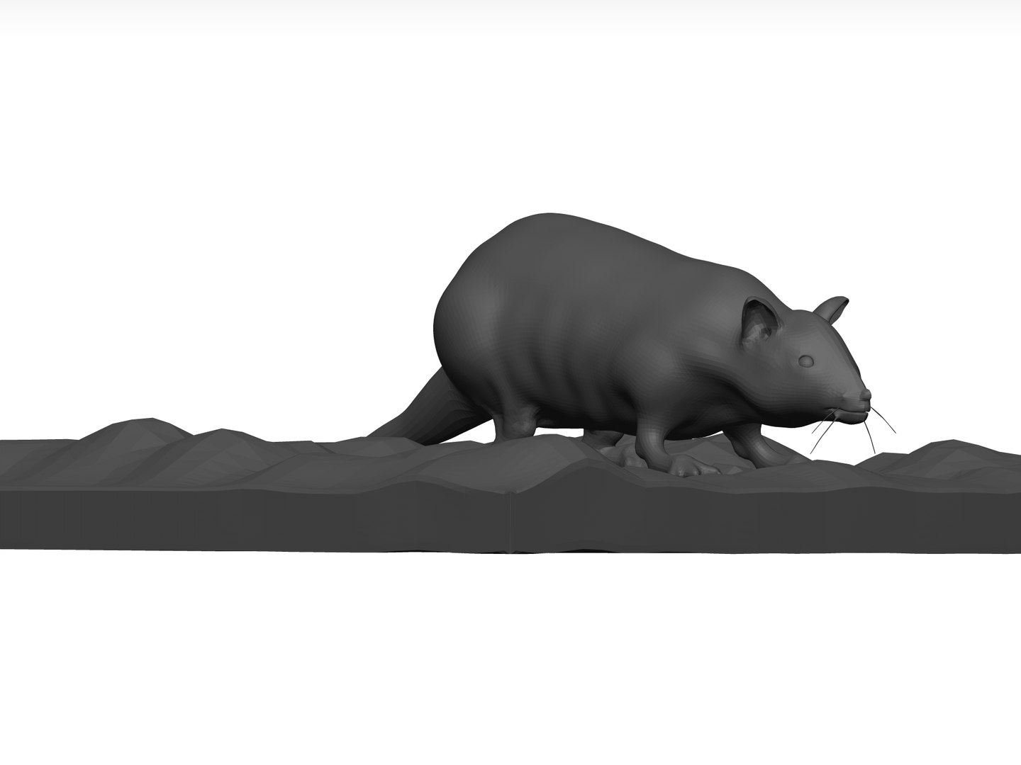 Rat Stl 3D - TurboSquid 1774289
