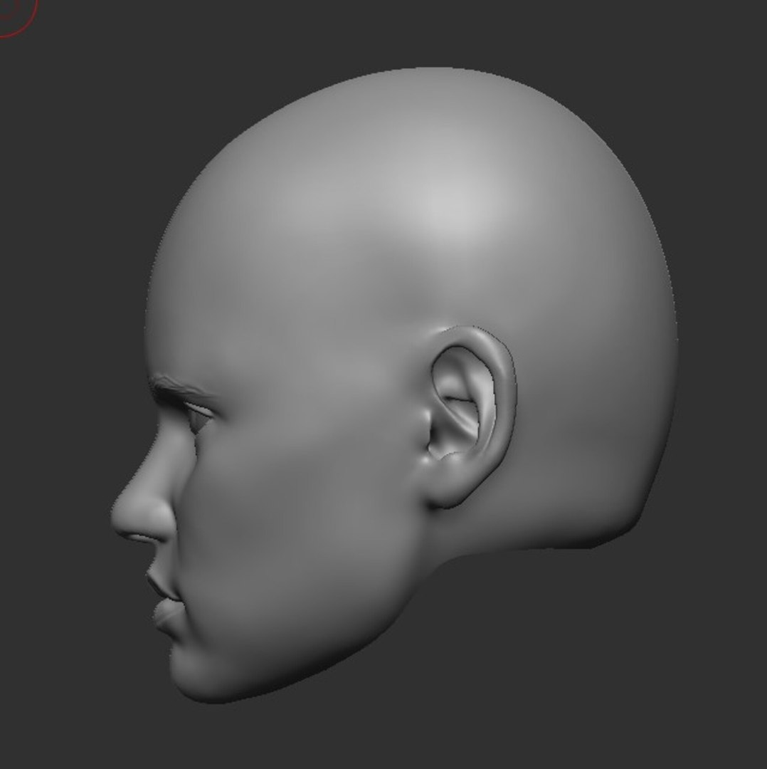 WEDNESDAY ADDAMS HEAD AND HAIR 2 PIECES 3D STL FOR PRINT model ...