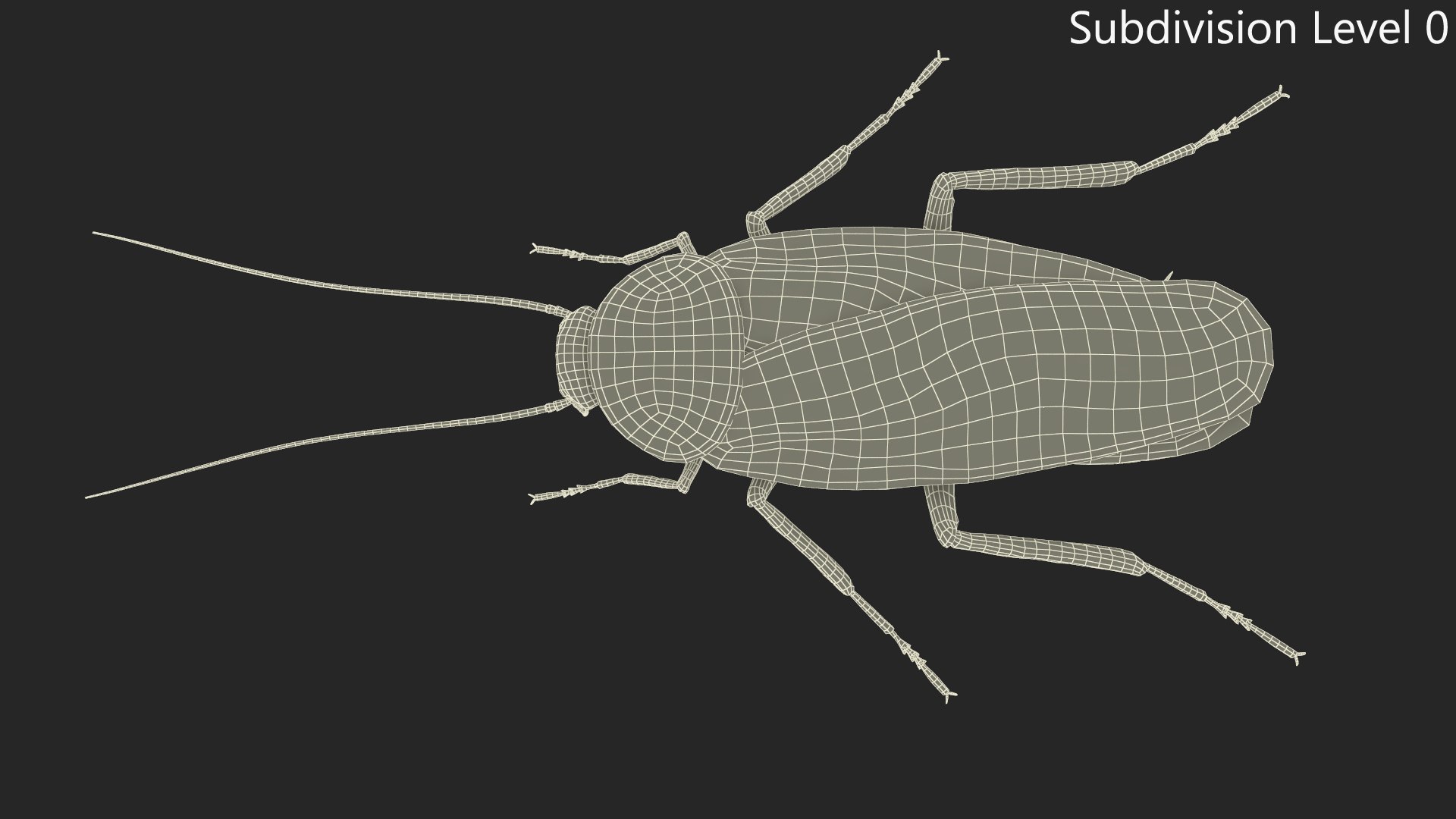 Realistic Cockroach Fur 3D Model - TurboSquid 2384829