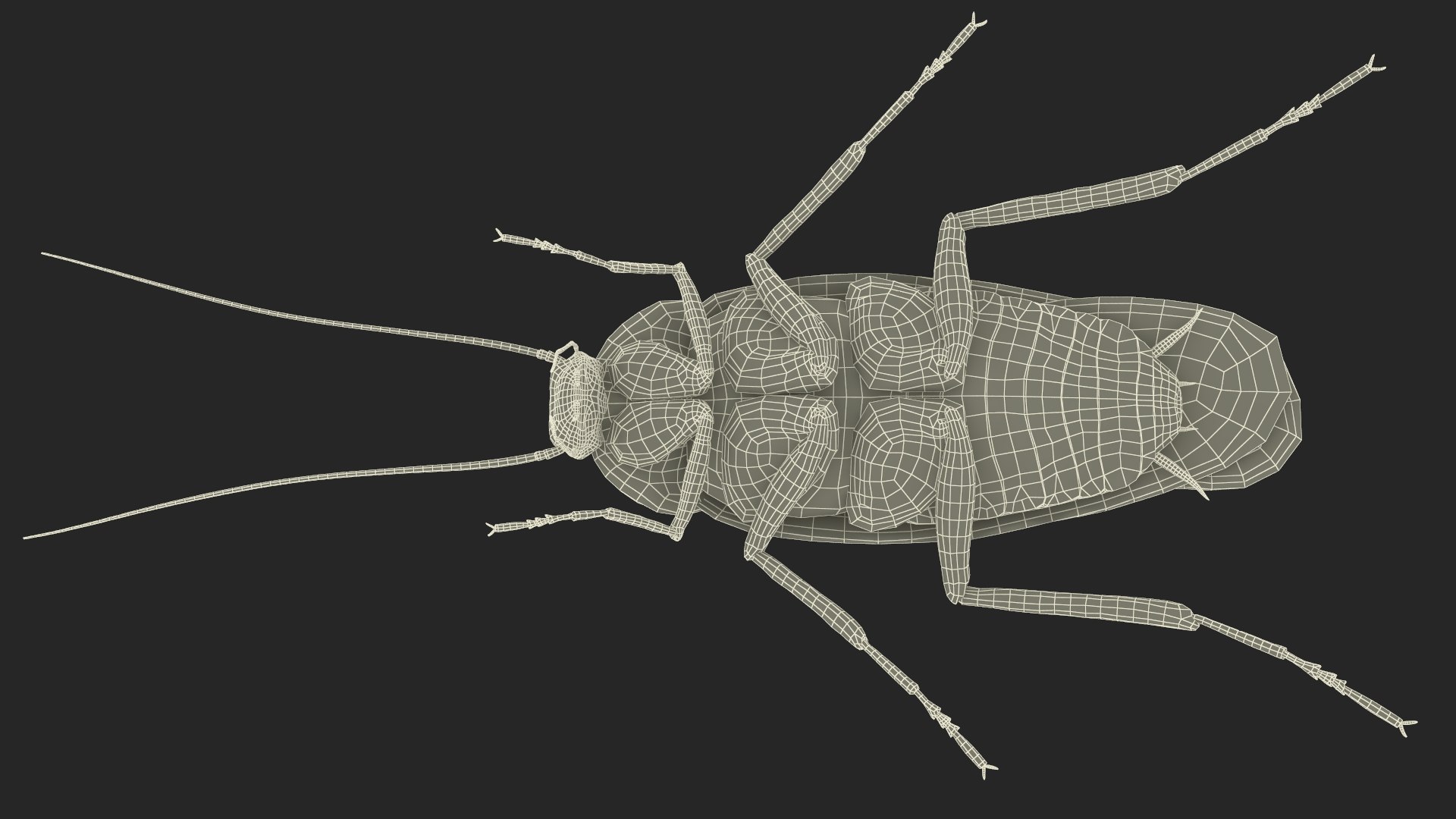 Realistic Cockroach Fur 3D Model - TurboSquid 2384829