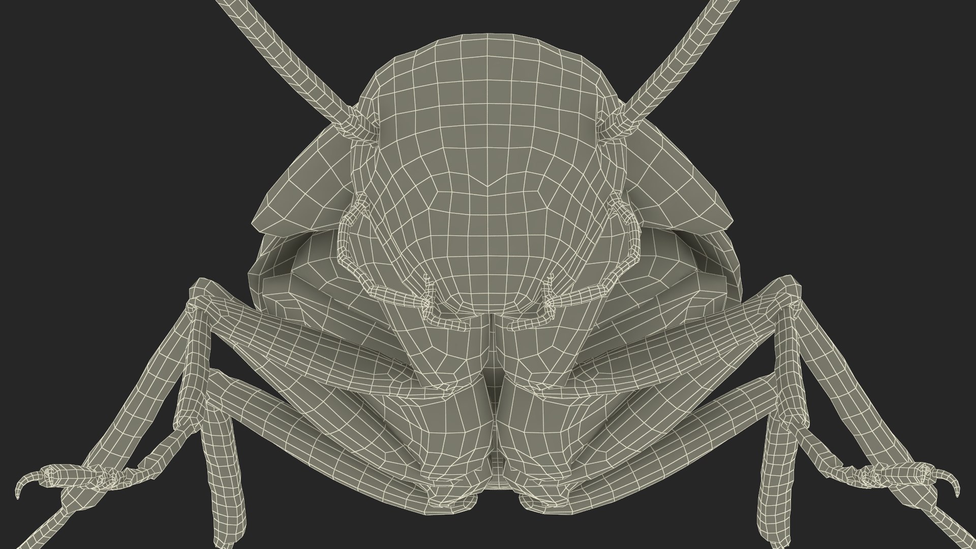 Realistic Cockroach Fur 3D Model - TurboSquid 2384829