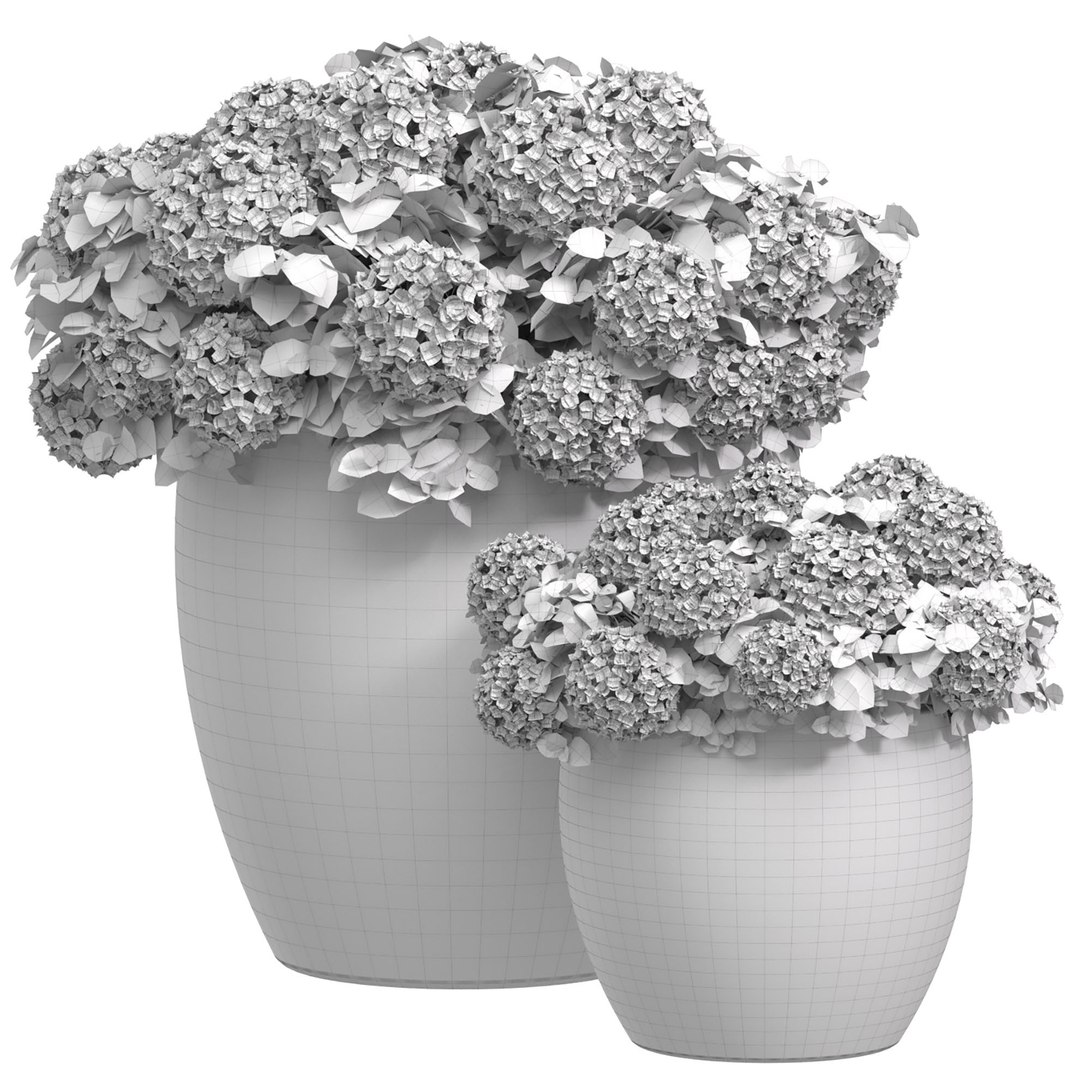 3D Hydrangea Plant In A Garden Pot - TurboSquid 2118823