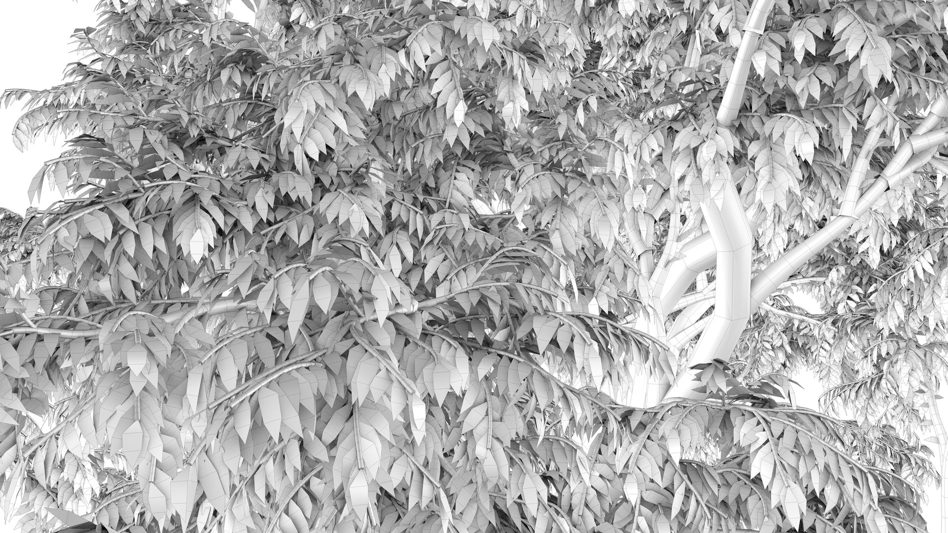 Realistic Cork Tree Leaves 3D - TurboSquid 1671225
