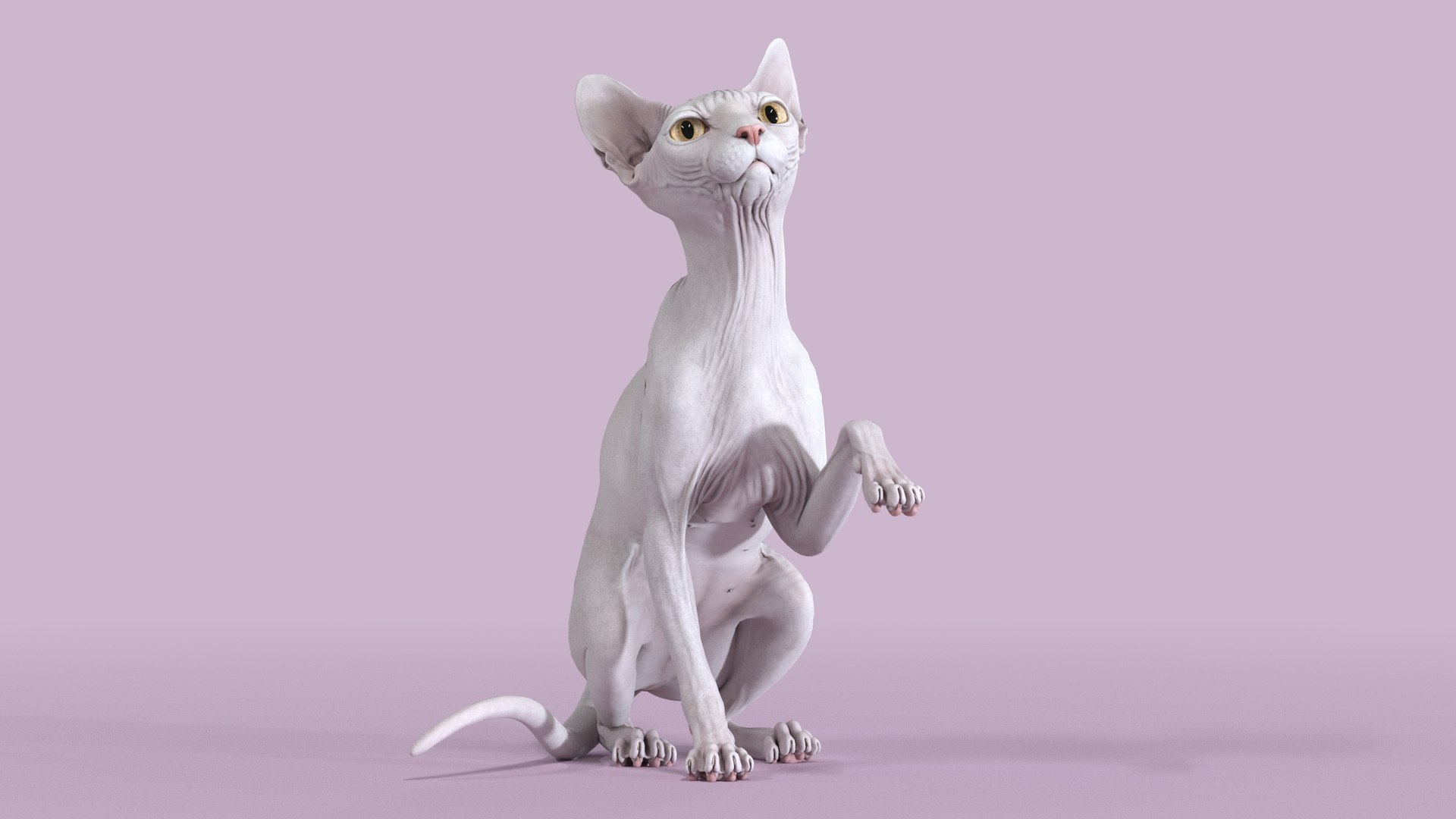 Sphynx cat sitting pose 3D model - TurboSquid 1662890