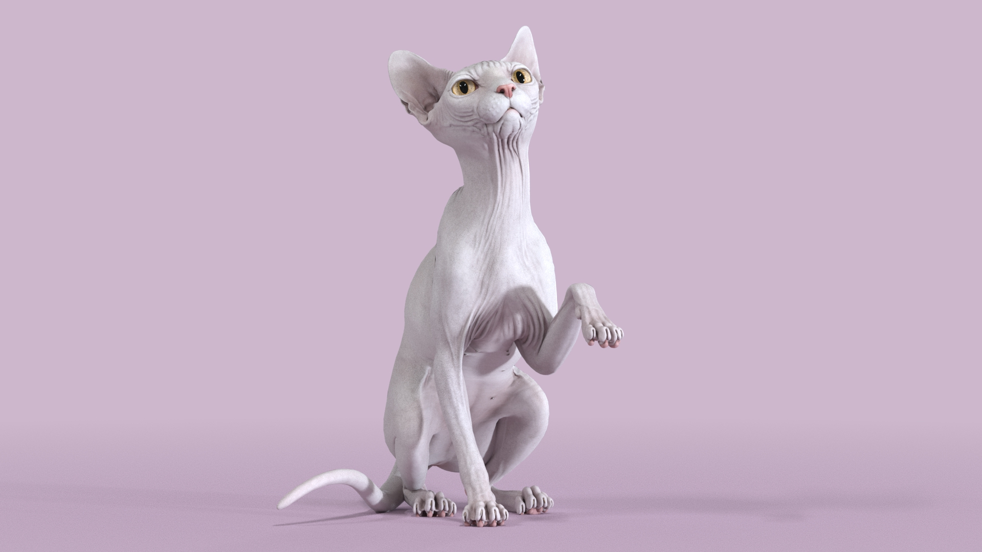 Sphynx cat sitting pose 3D model - TurboSquid 1662890