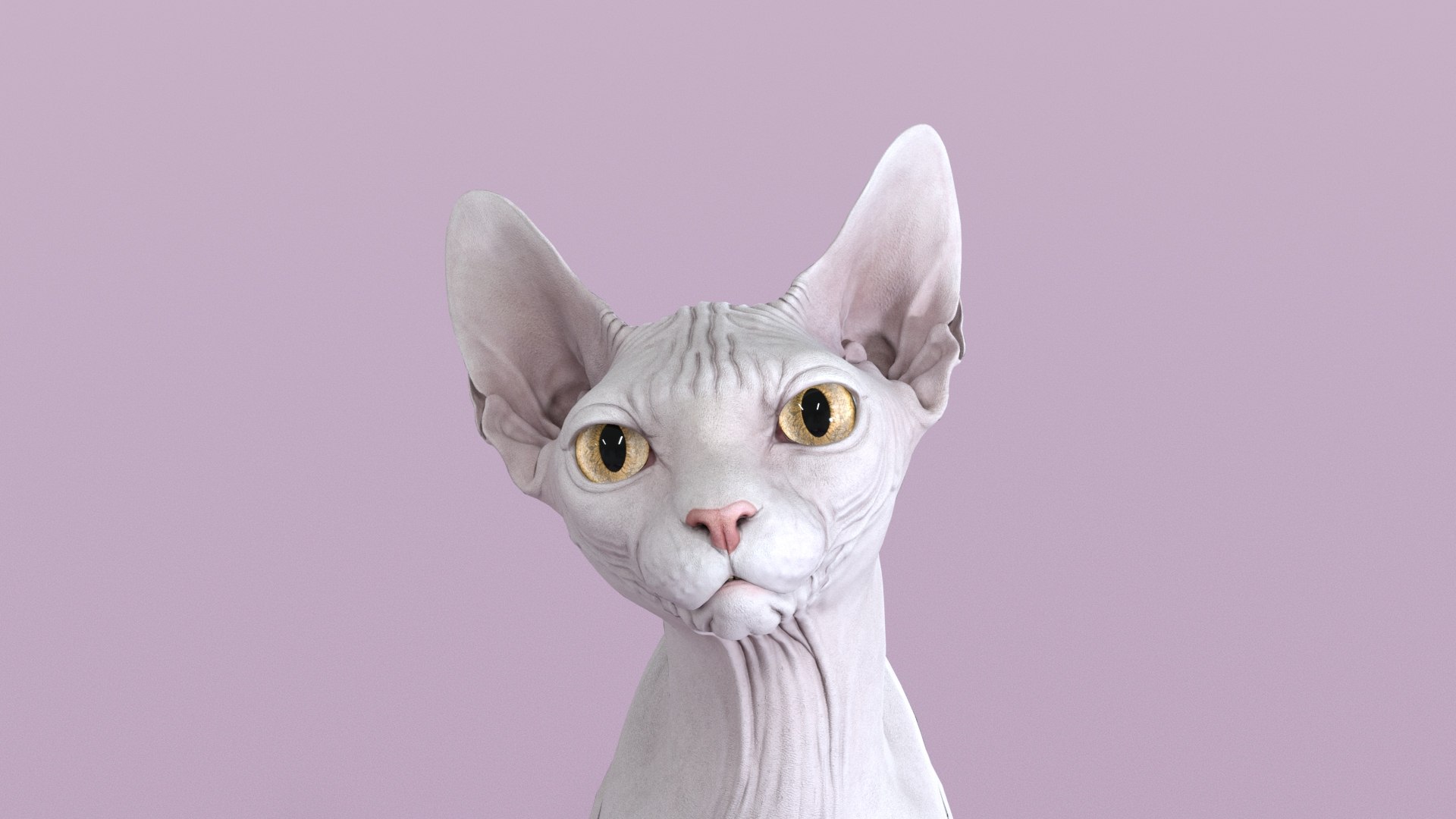 Sphynx Cat Sitting Pose 3D Model - TurboSquid 1662890