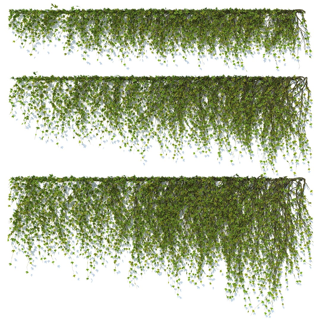 Ivy Wall 15 Model - TurboSquid 1951300