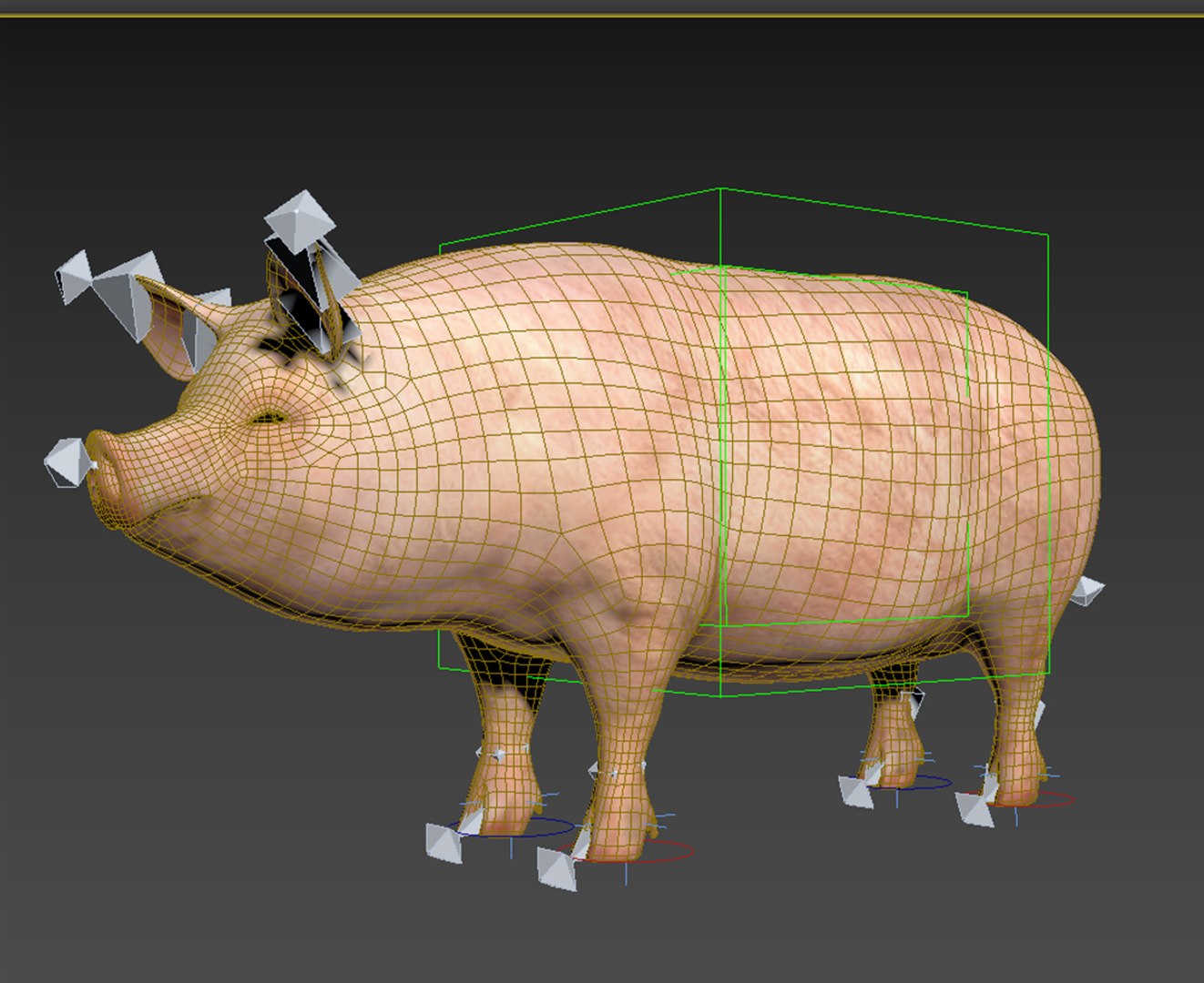 Pig Rigging 3D Model - TurboSquid 1194130