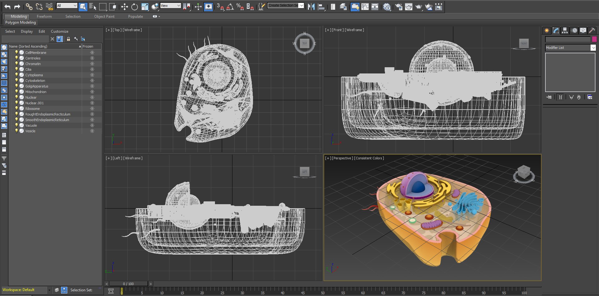 3D Animal Cells Model - TurboSquid 1653074