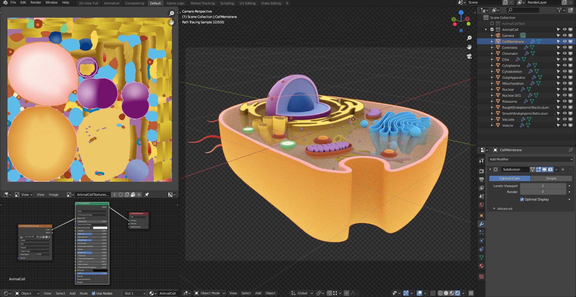 3D Animal Cells Model - TurboSquid 1653074
