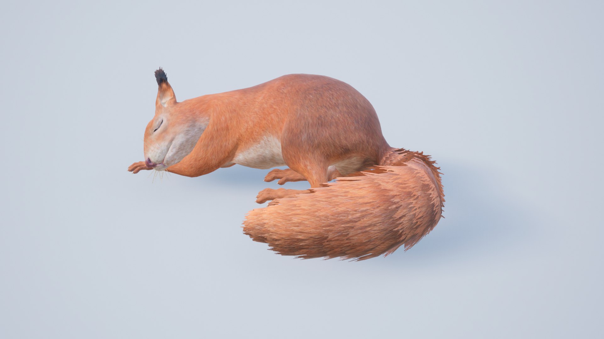 3D Squirrel - TurboSquid 2132863