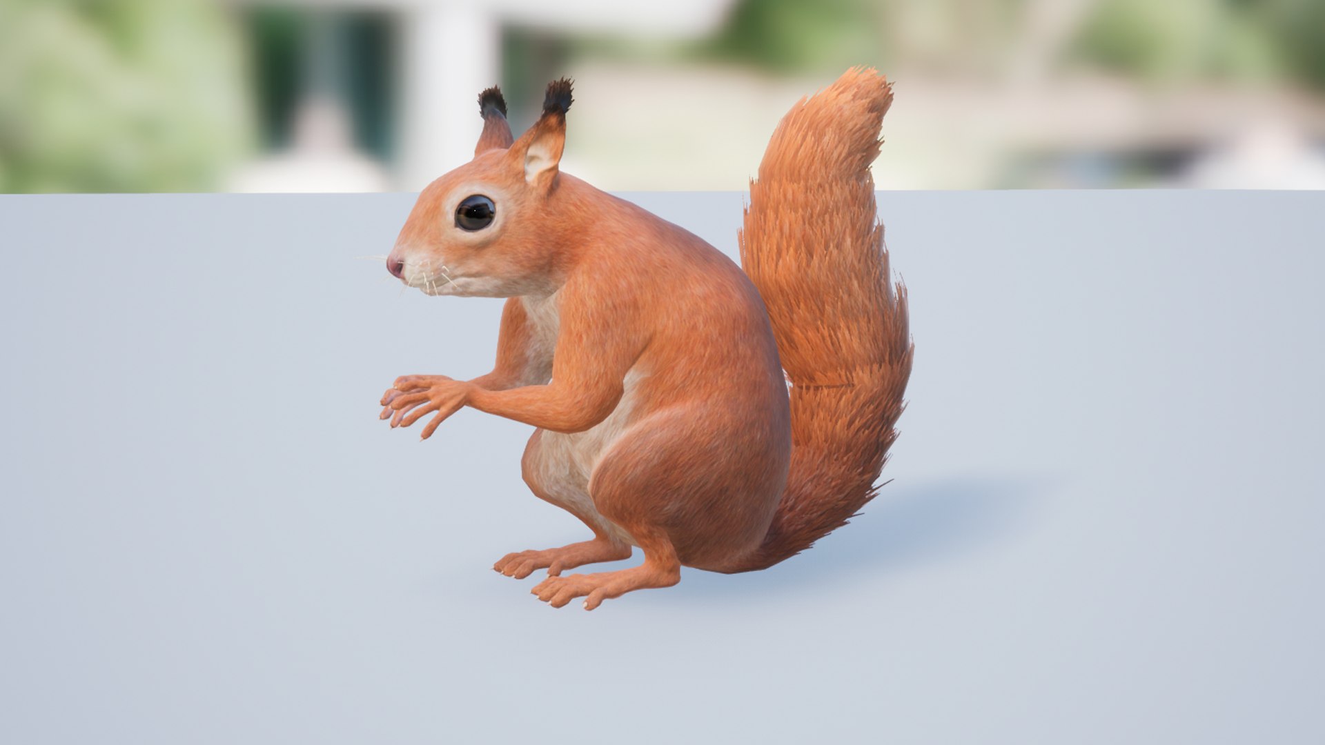 3D Squirrel - TurboSquid 2132863