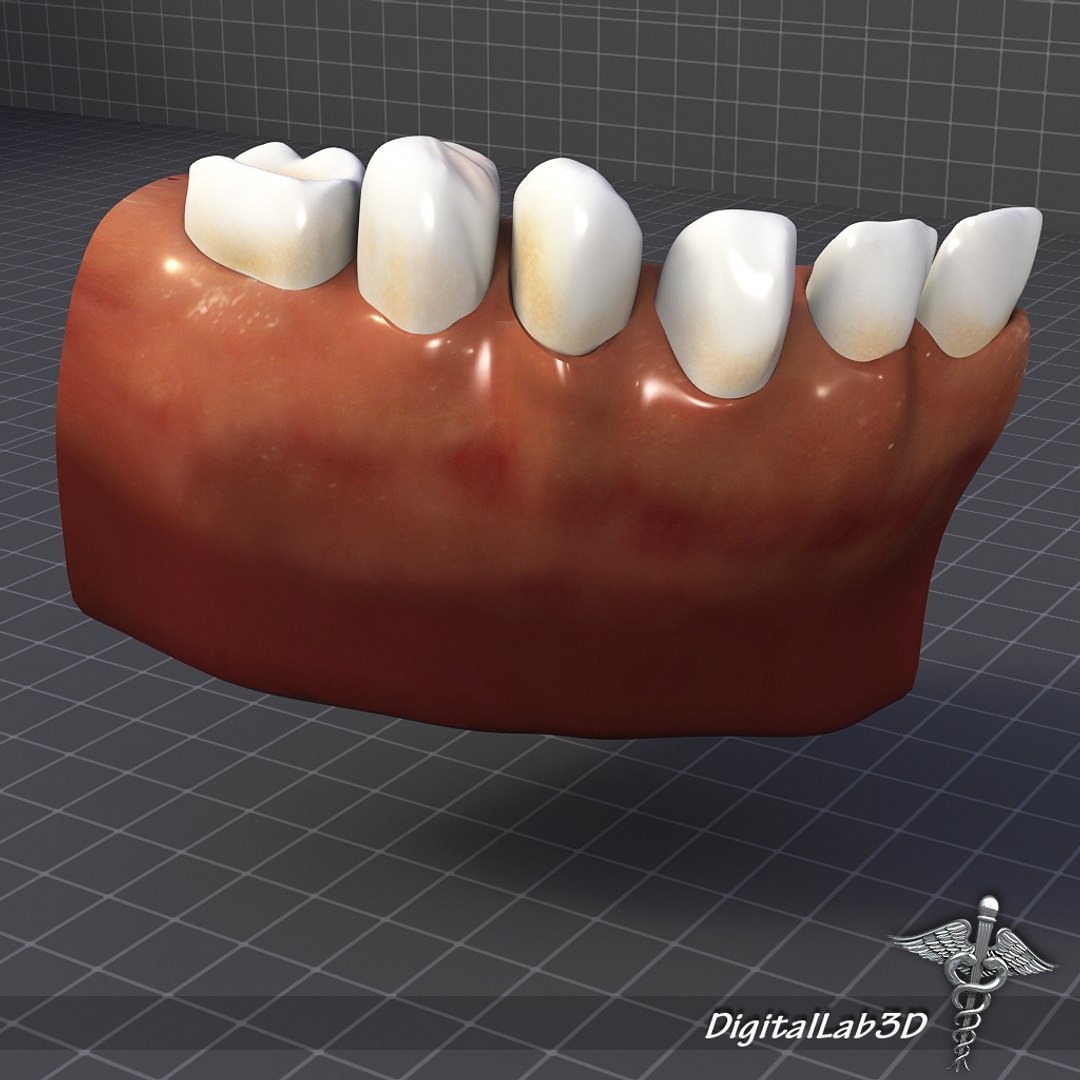 maya teeth gums