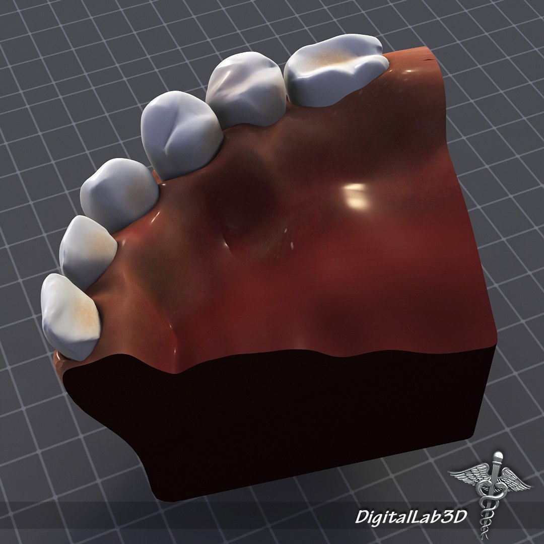 Maya Teeth Gums