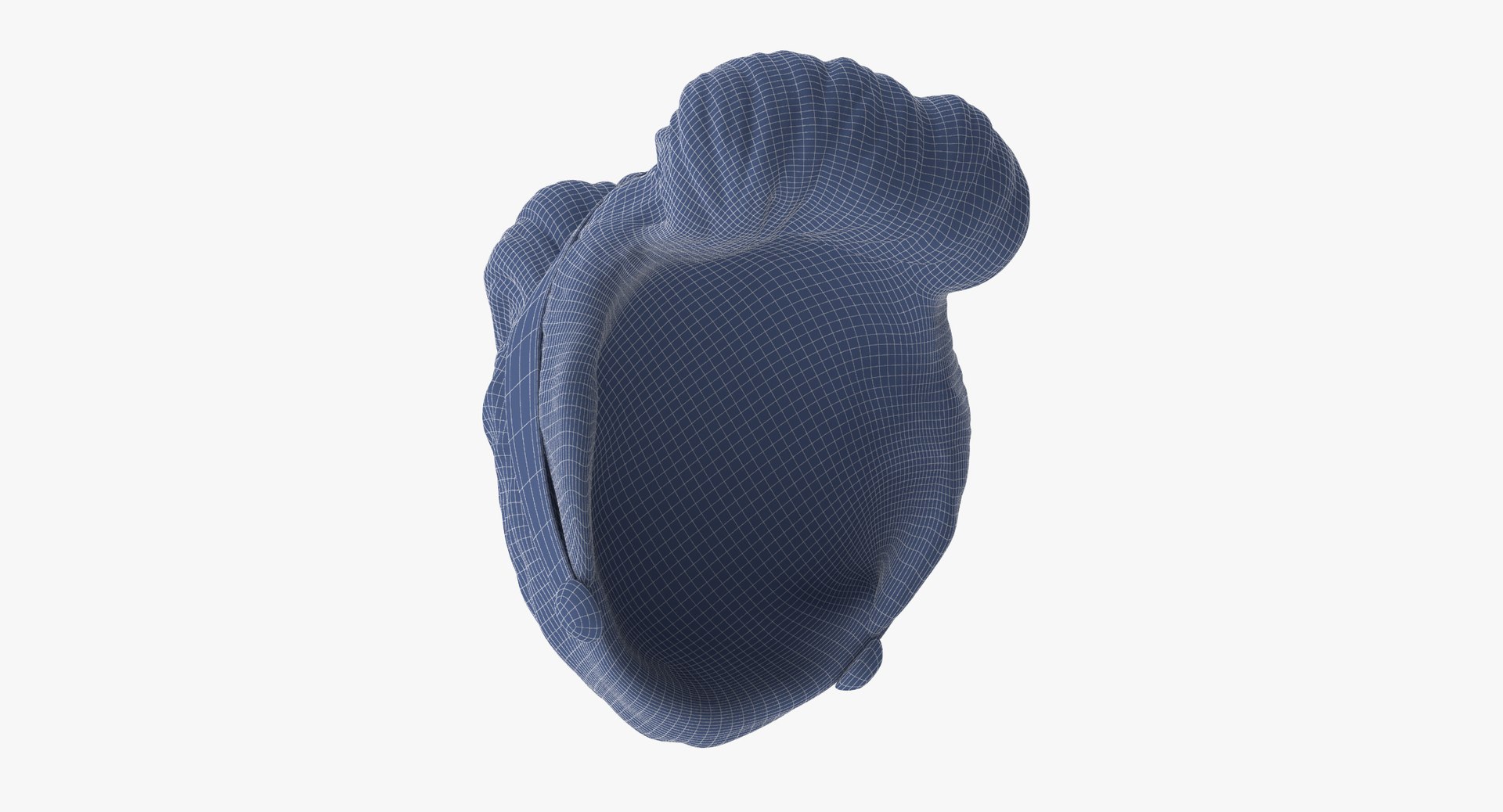 Cinderella Wig 3d Model