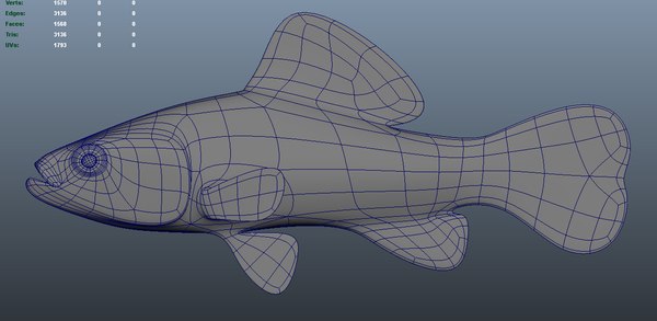 Aphredoderus sayanus pirate perch 3D model - TurboSquid 1258812