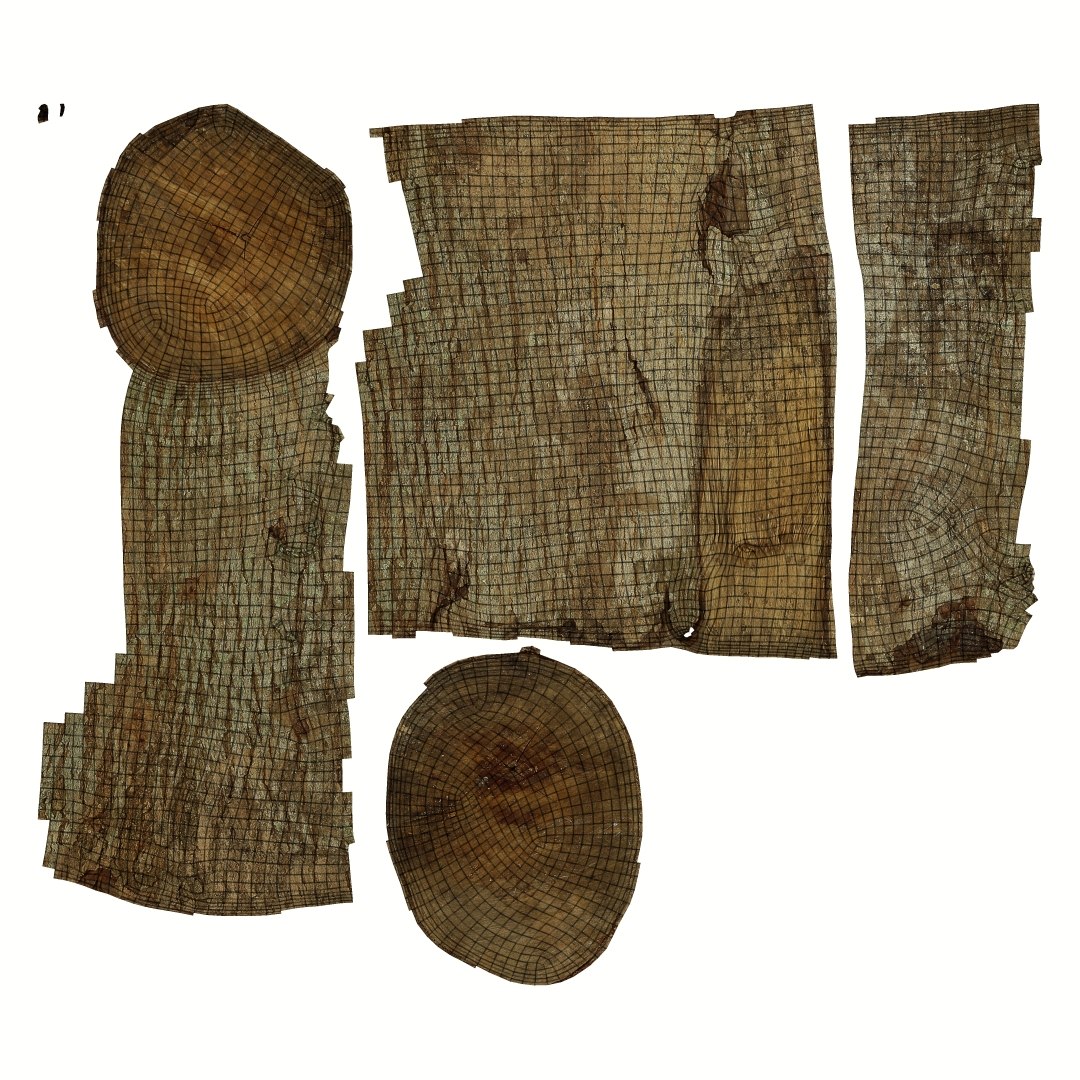 3D Wood Log Raw Scanned - TurboSquid 1816132
