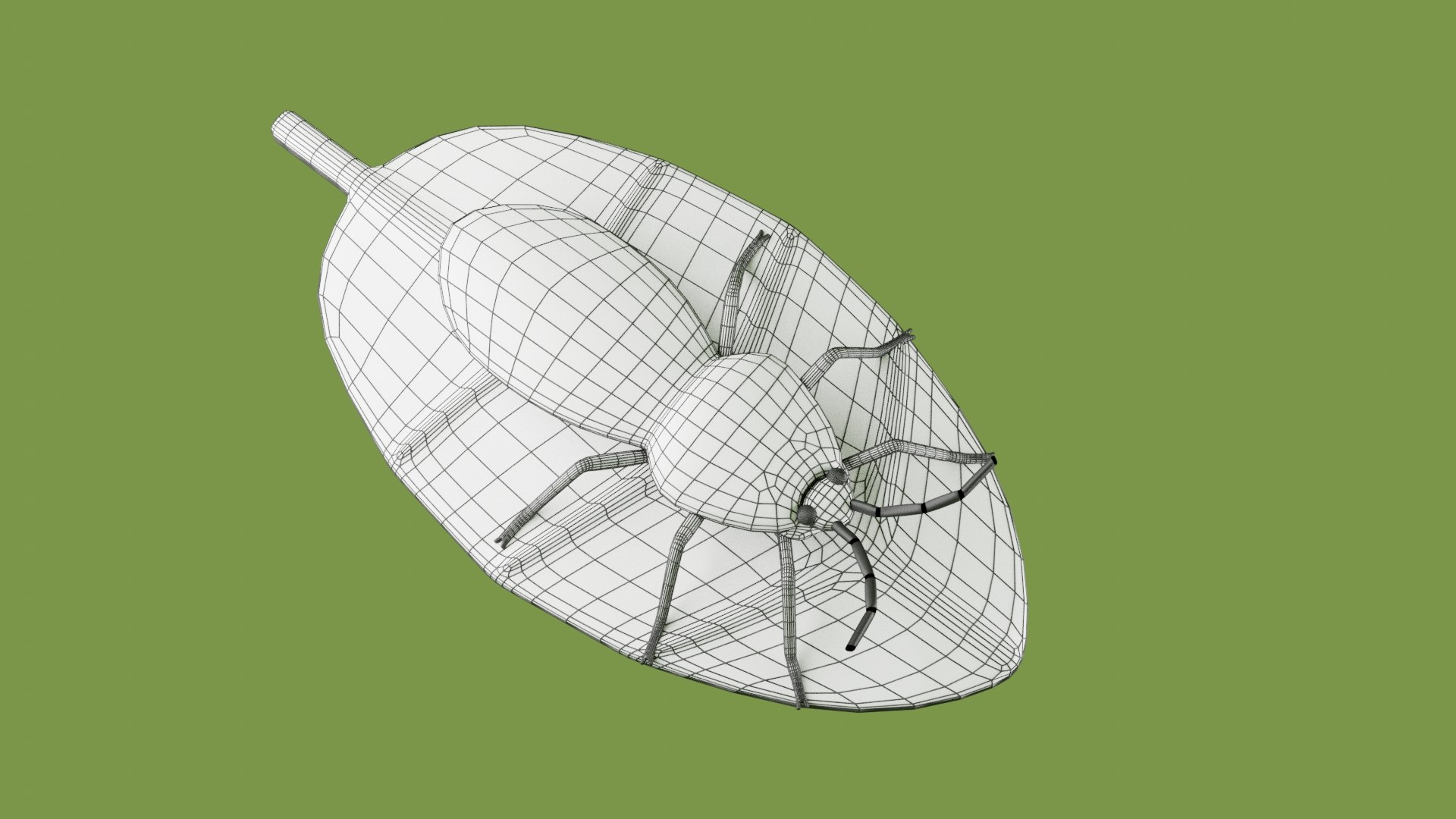 3D Bug With Leaf Model - TurboSquid 2050876