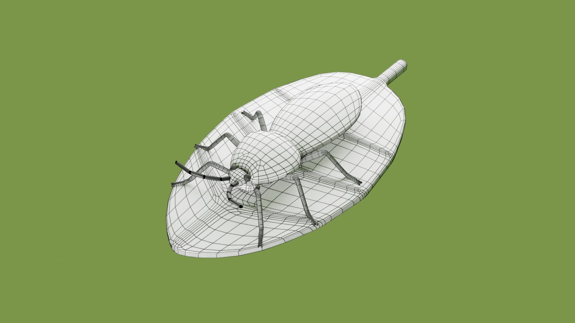 3D Bug With Leaf Model - TurboSquid 2050876