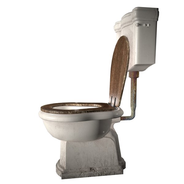 3D model Traditional toilet - TurboSquid 1892260