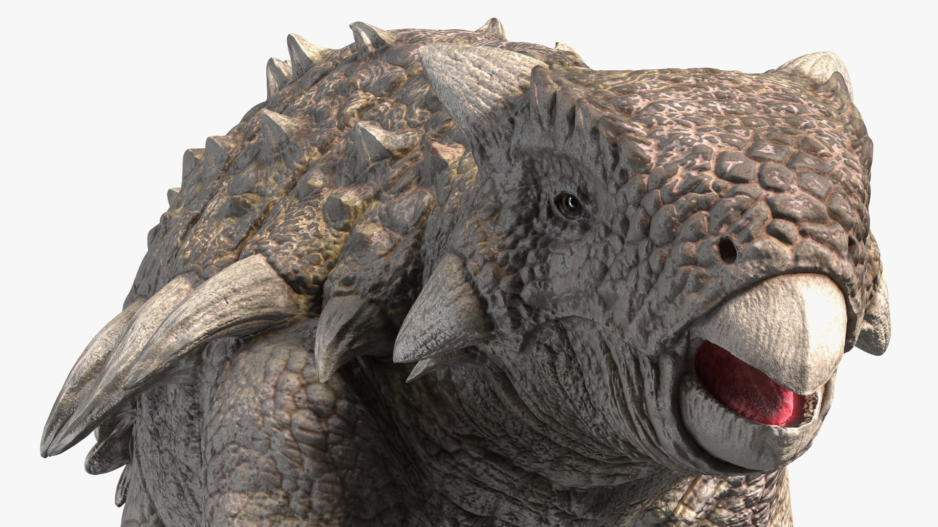 3D Rigged Herbivorous Dinosaurs Collection For Maya Model - TurboSquid ...