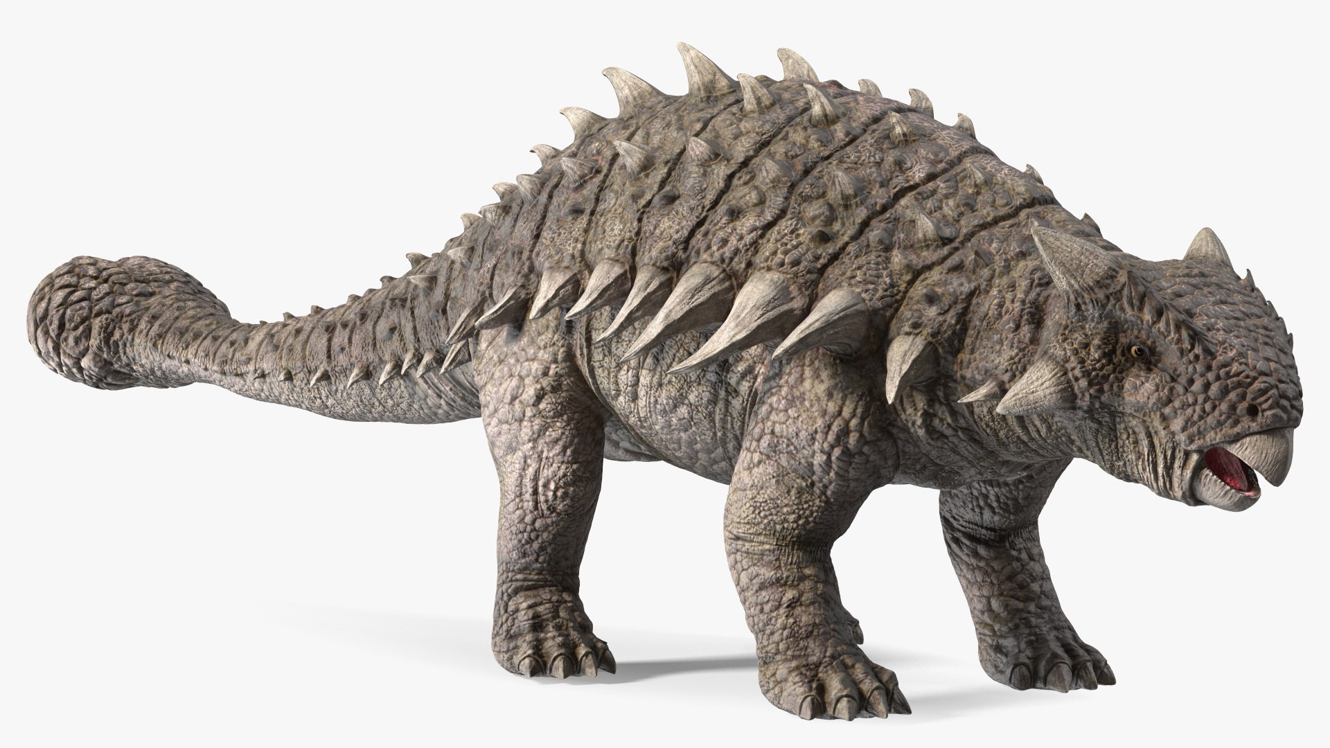 3D Rigged Herbivorous Dinosaurs Collection For Maya Model - TurboSquid ...
