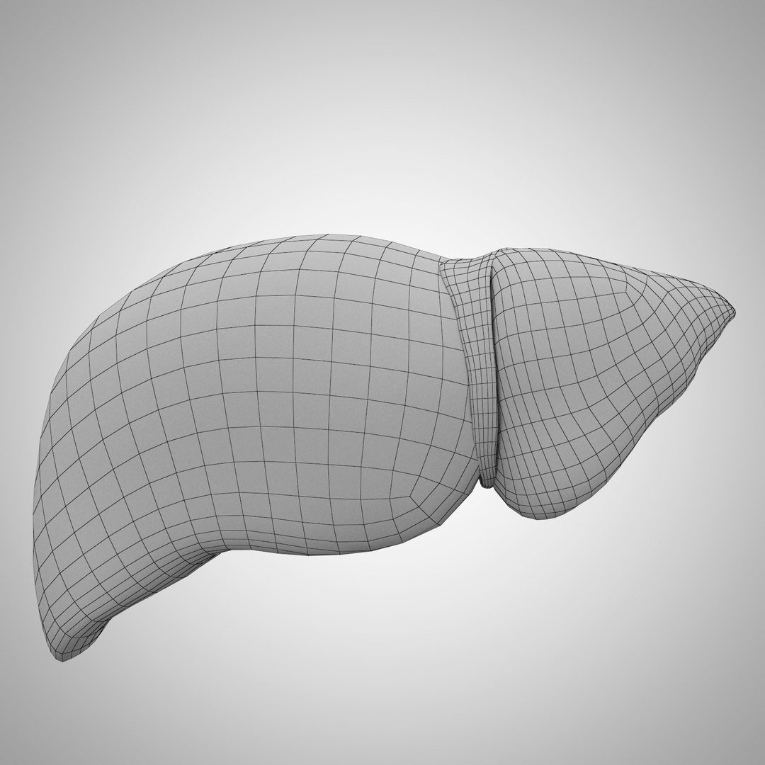 3D Model Human Liver - TurboSquid 1175178