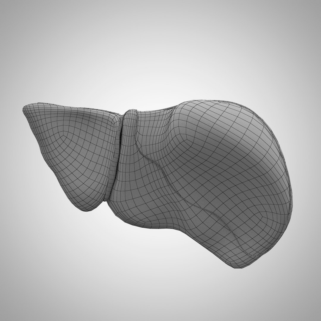 3D Model Human Liver - TurboSquid 1175178