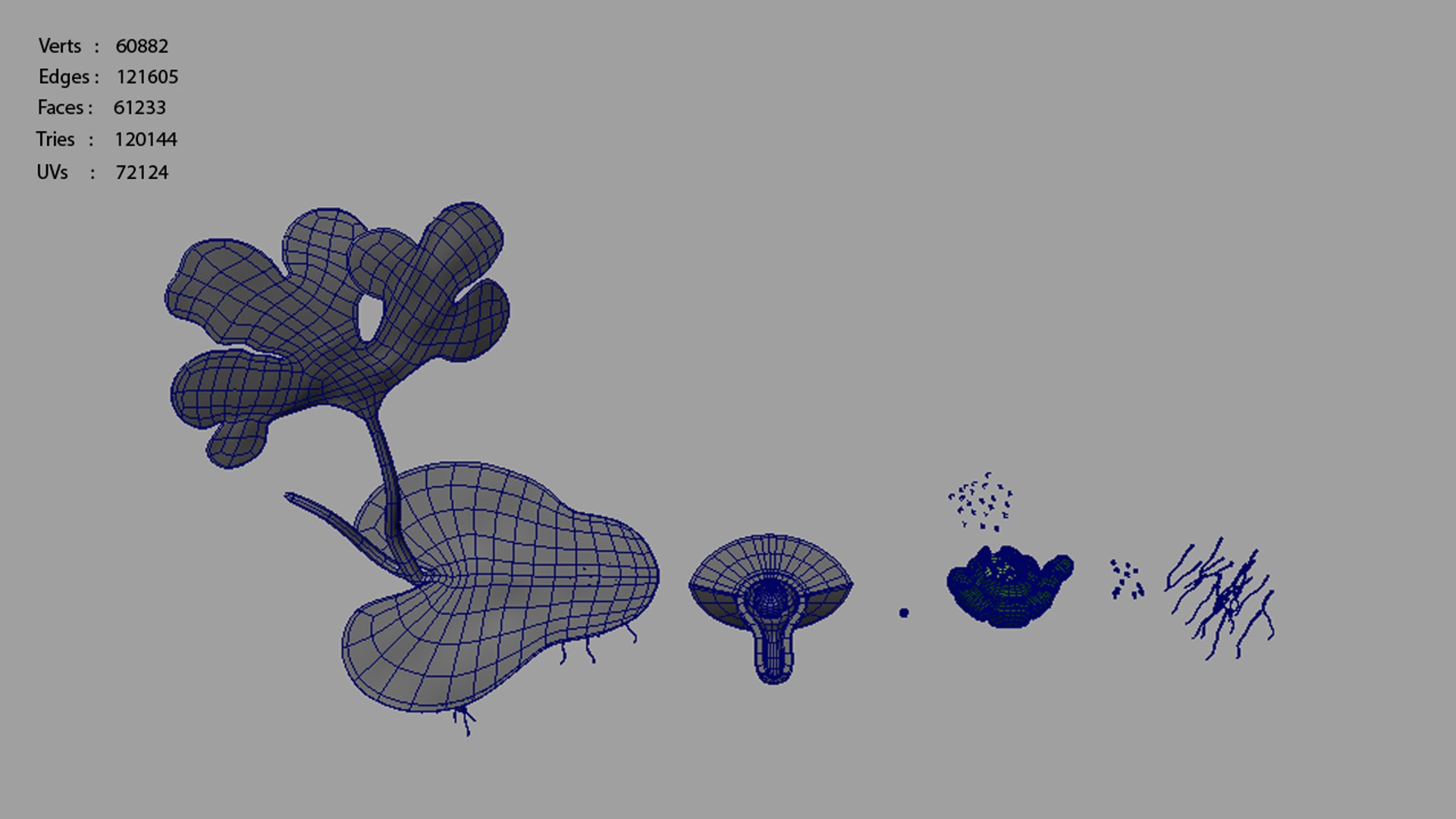 Maya Antheridia Male