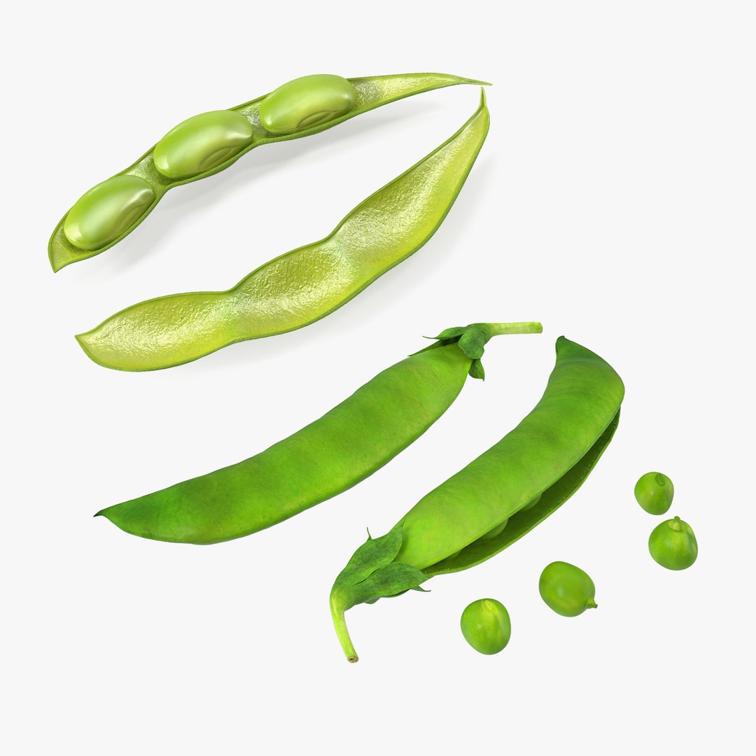 3D model Grains Open Collection - TurboSquid 1924323