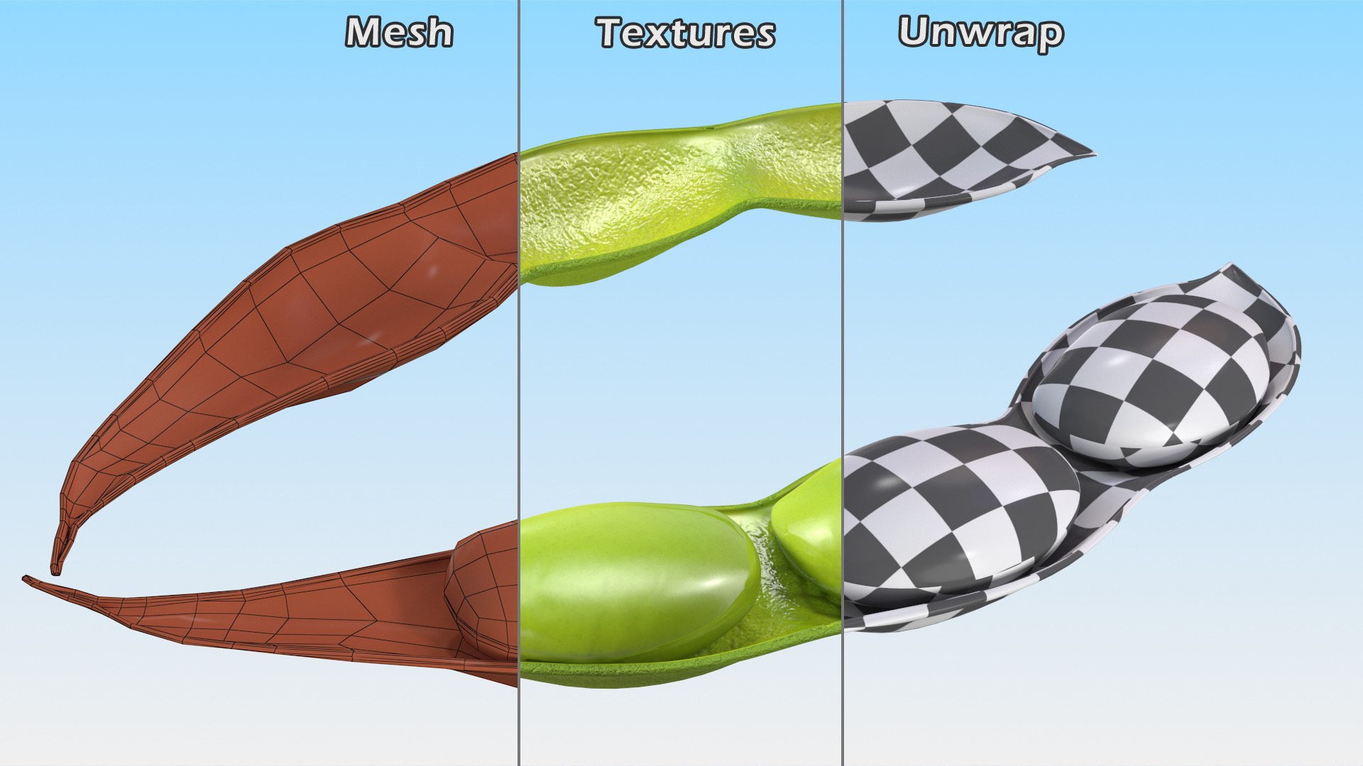 3D model Grains Open Collection - TurboSquid 1924323