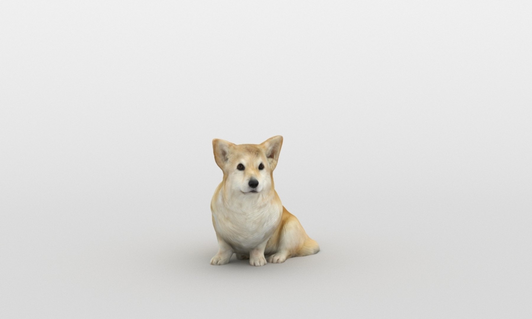 Scanned Corgi 3D Model - TurboSquid 1512157