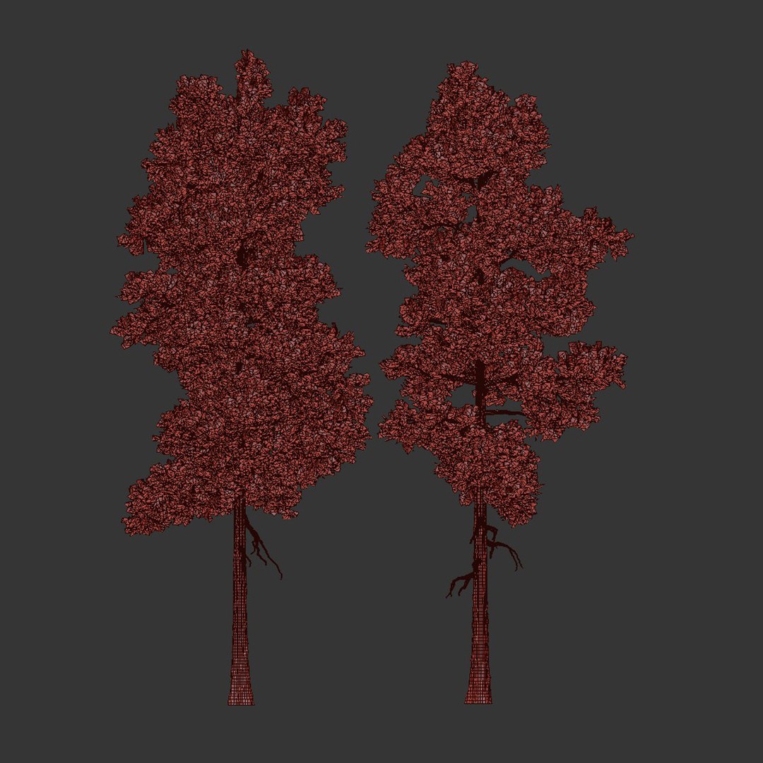 Conifer Trees Vol 362 Model - TurboSquid 2511811