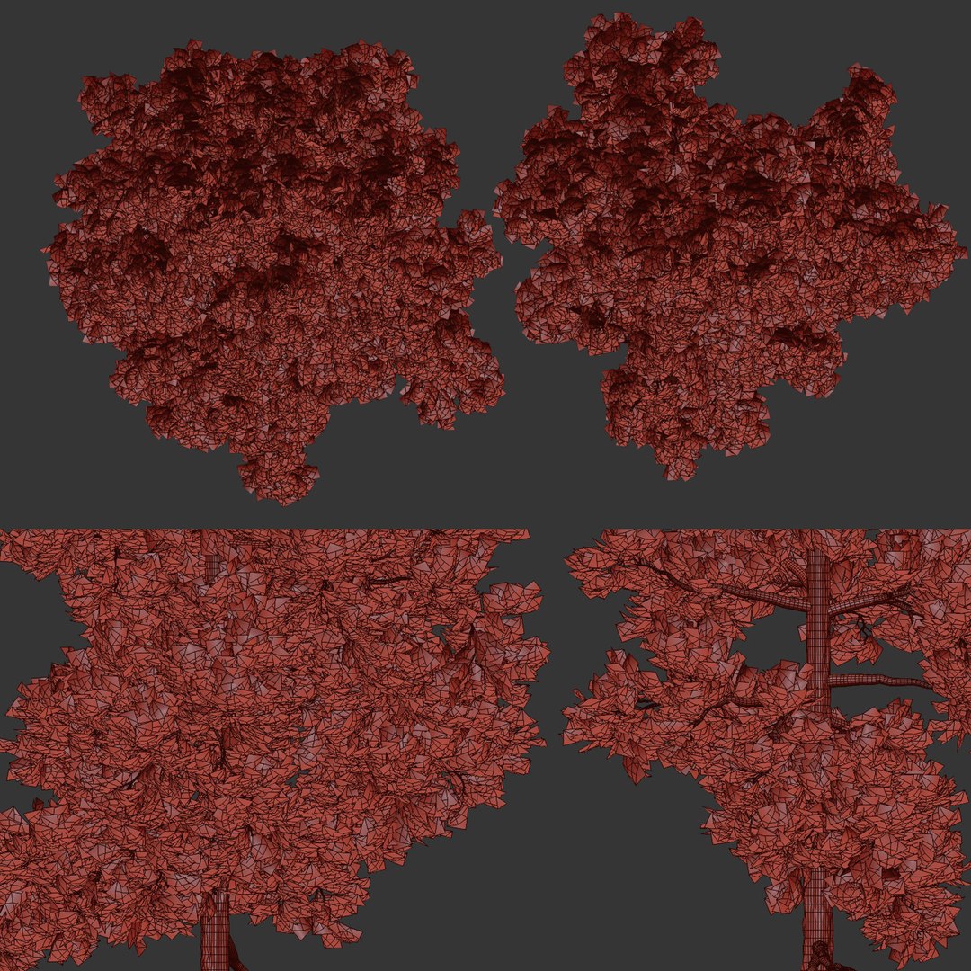 Conifer Trees Vol 362 Model - TurboSquid 2511811