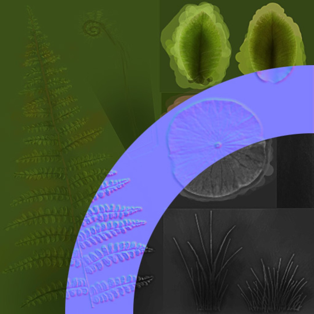 3d fern model