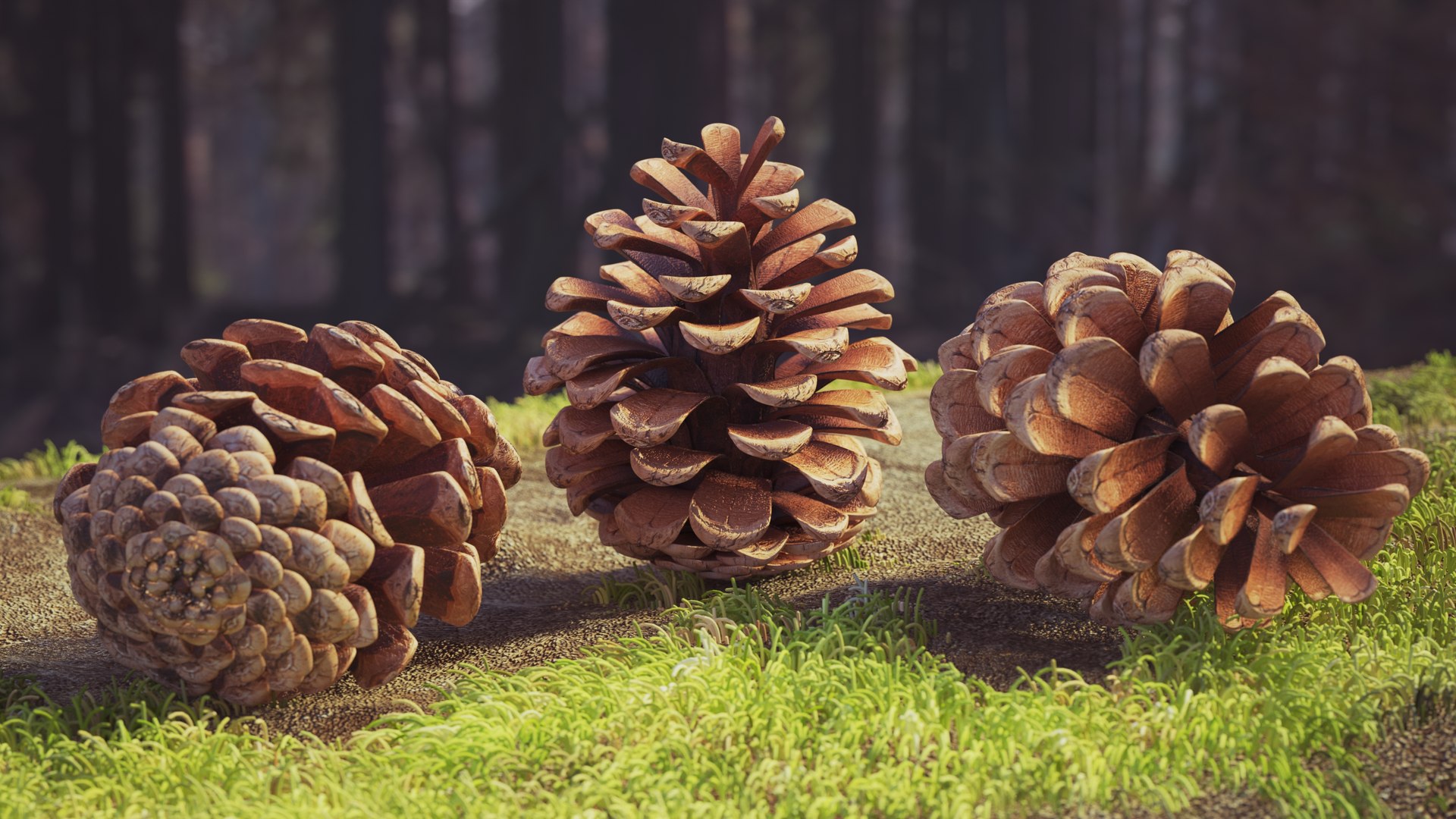 Pine Cones Collection 3D Model - TurboSquid 2006361