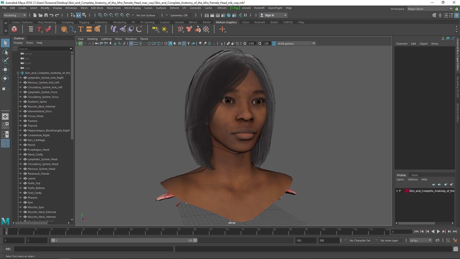 Skin And Complete Anatomy Of The Afro Female Head 3D Model - TurboSquid ...