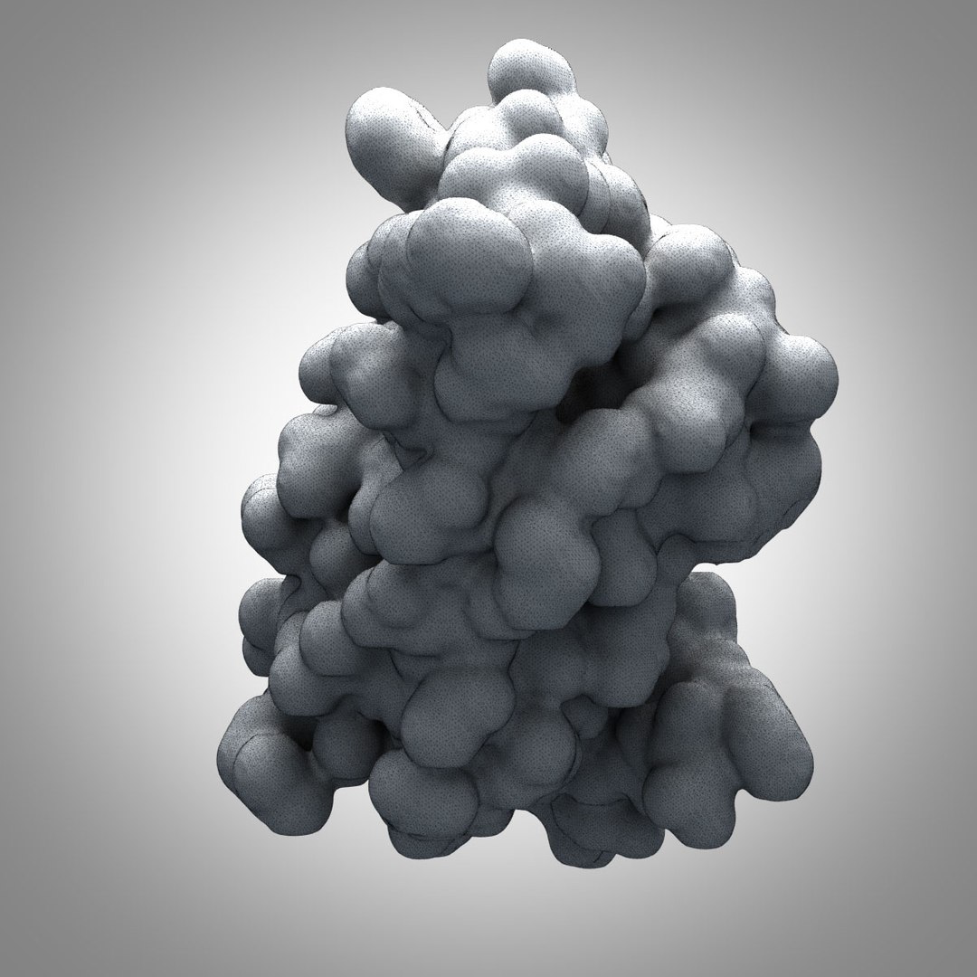 3d Leptin Satiety Hormone