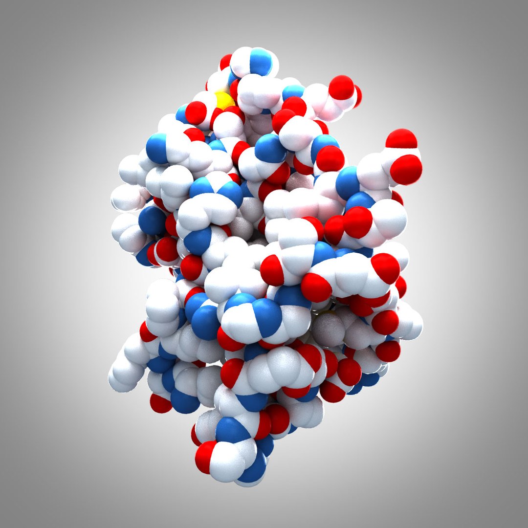 3d Leptin Satiety Hormone