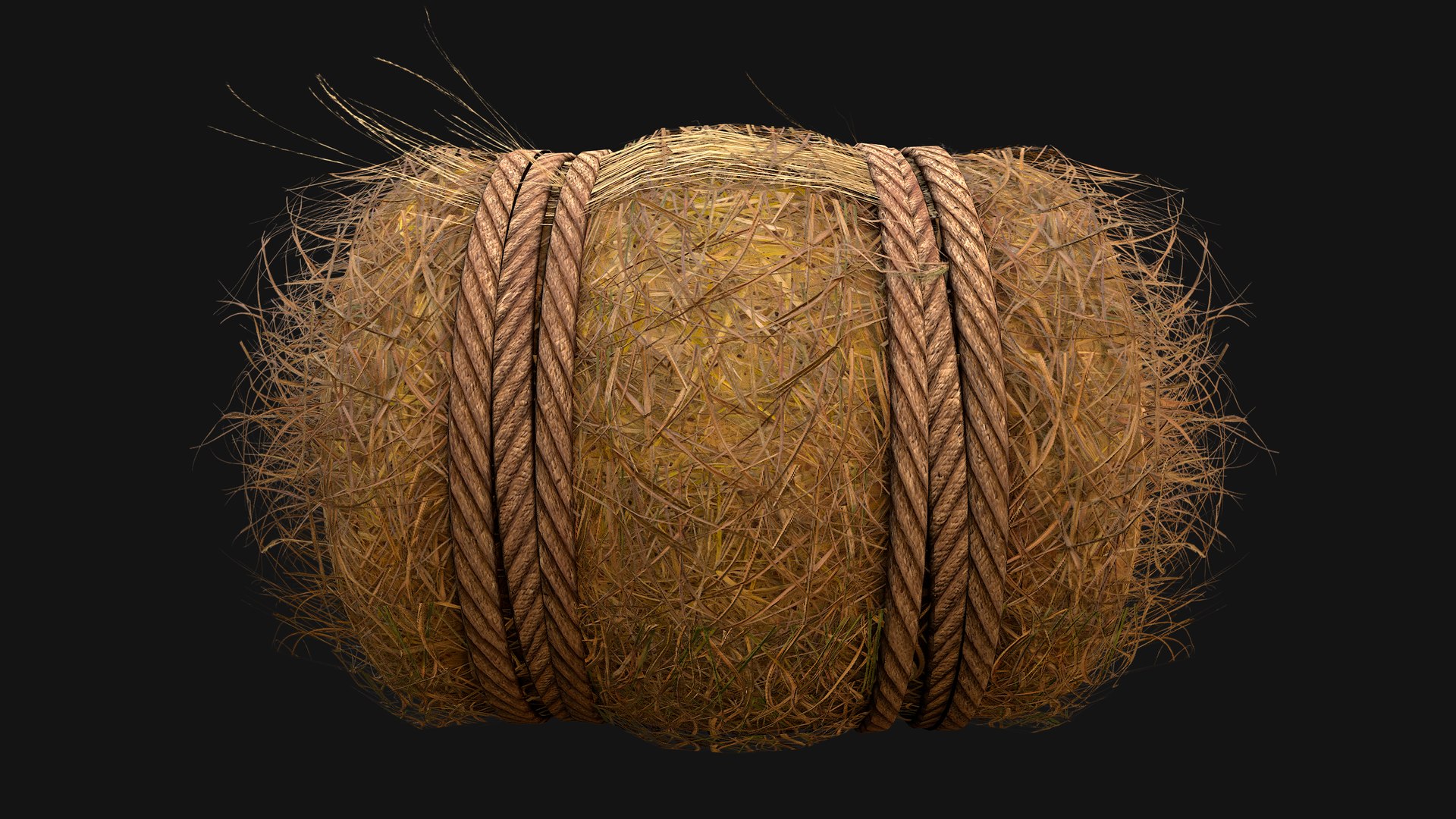 3D Hay Bale Square And Round - TurboSquid 2204270