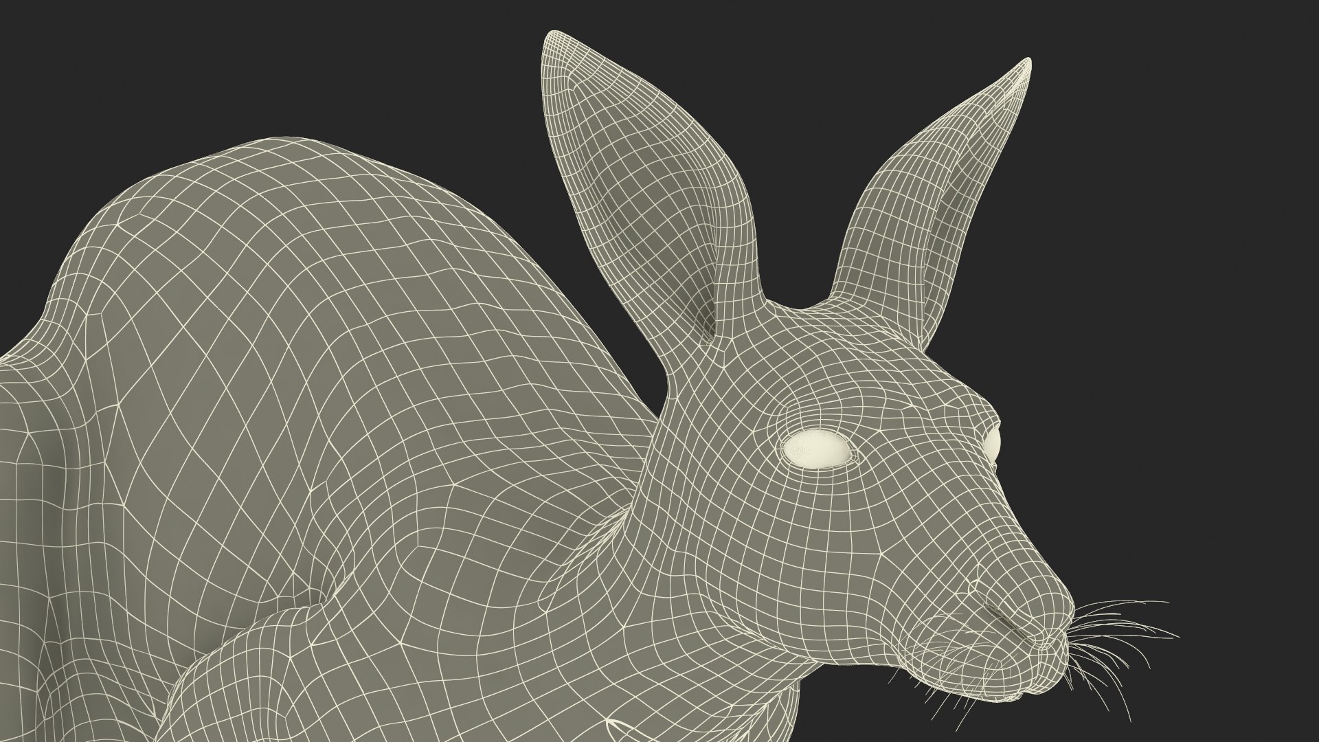 3D Kangaroo In Motion - TurboSquid 2228875