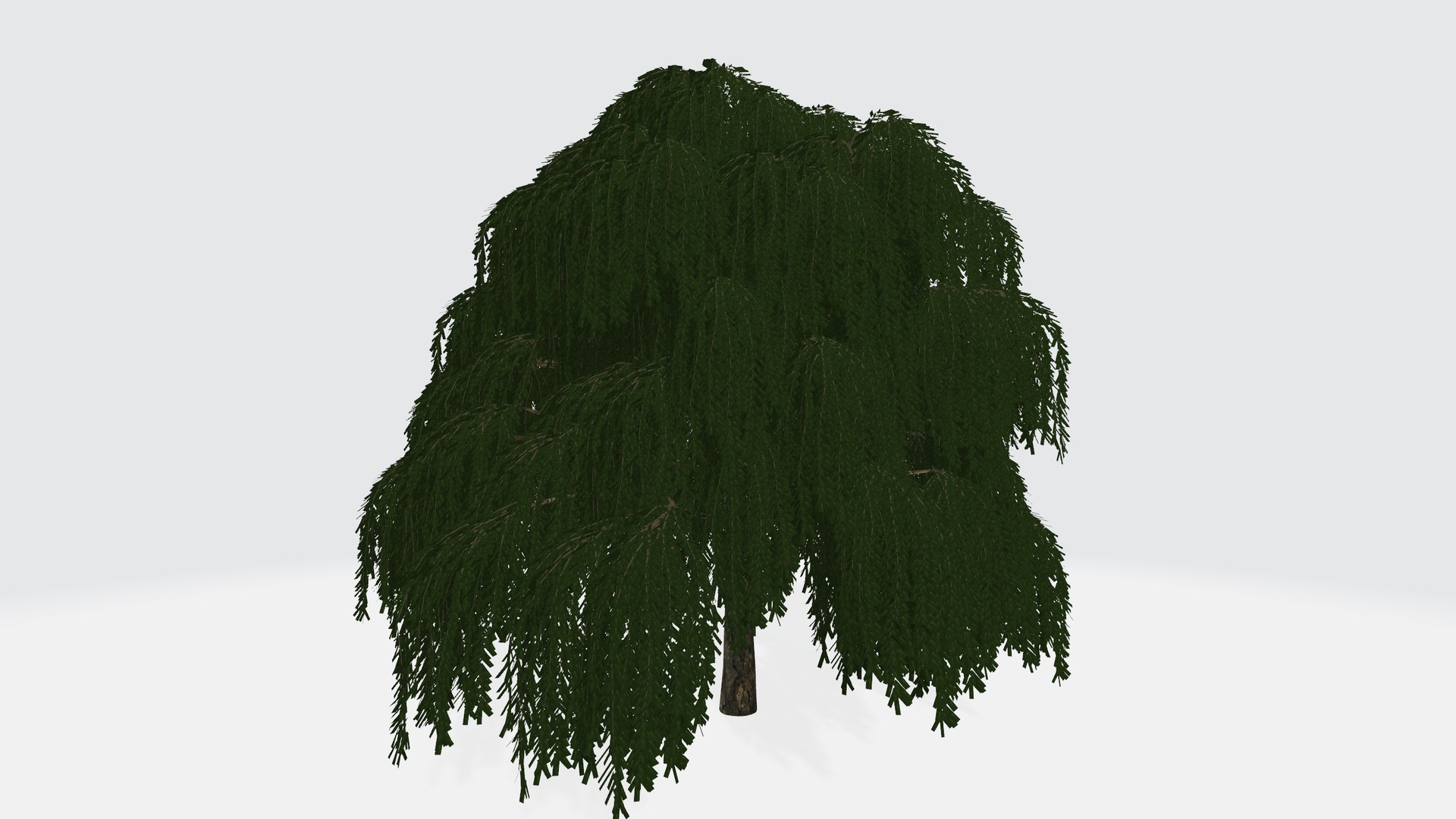 3D Willow Tree - TurboSquid 1956149
