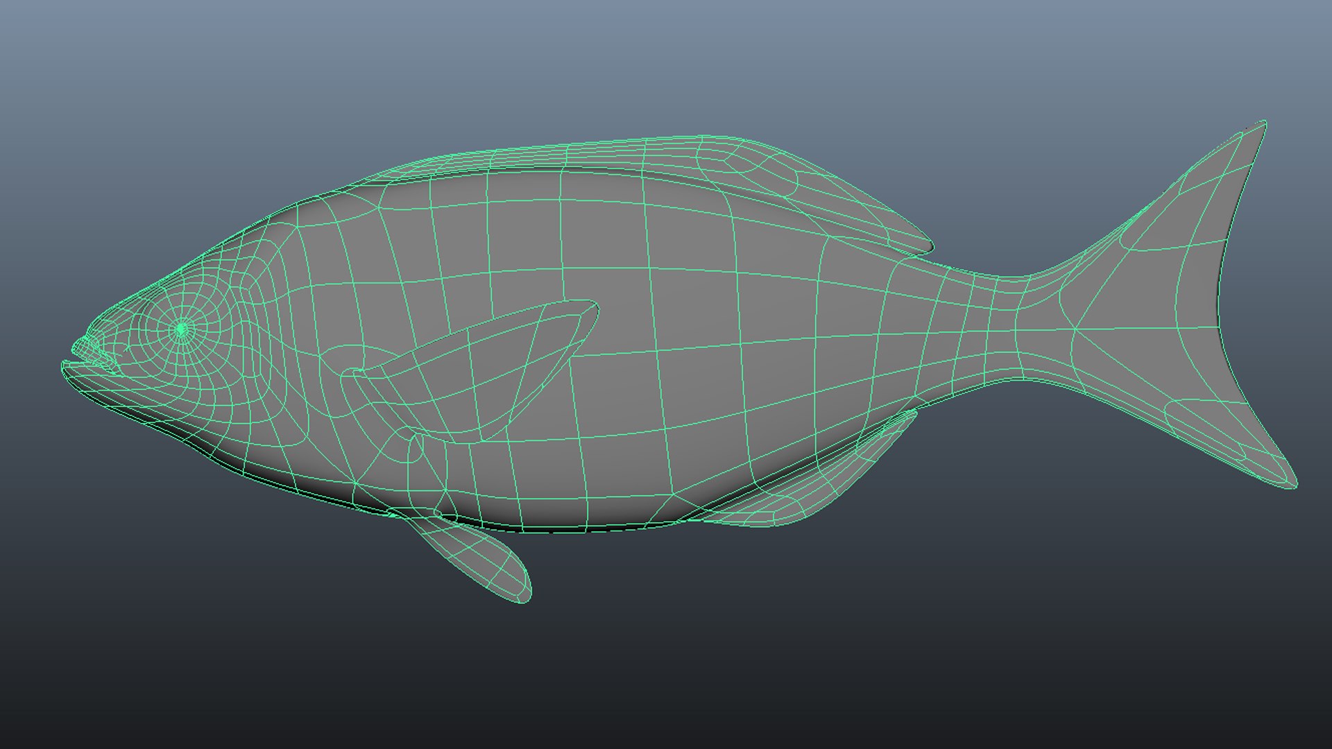 3D Sharpnose Perch Model - TurboSquid 1738378