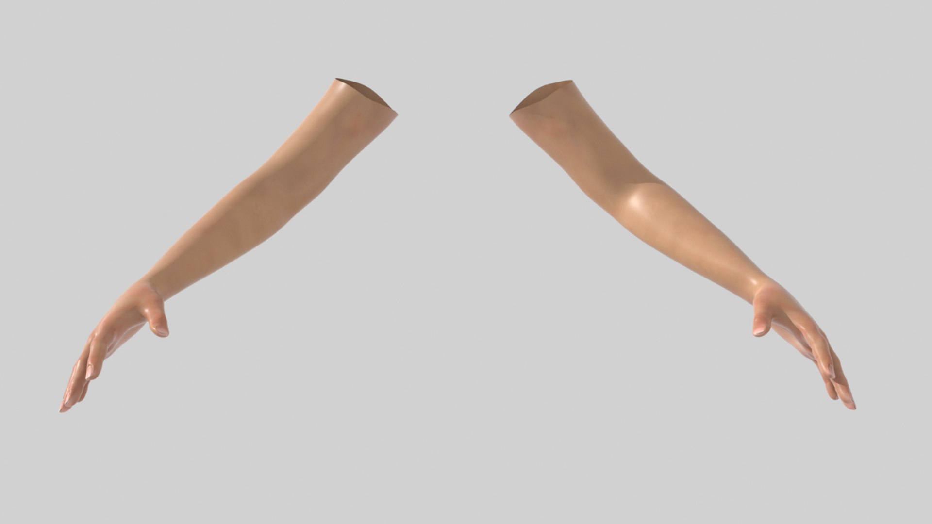 3D Female Arms Model - TurboSquid 1361944