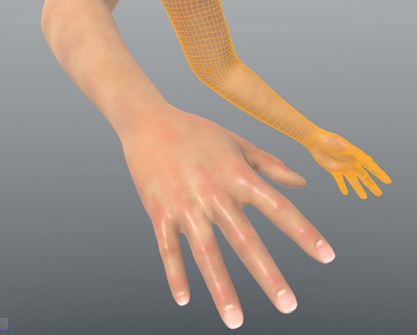 3D Female Arms Model - TurboSquid 1361944