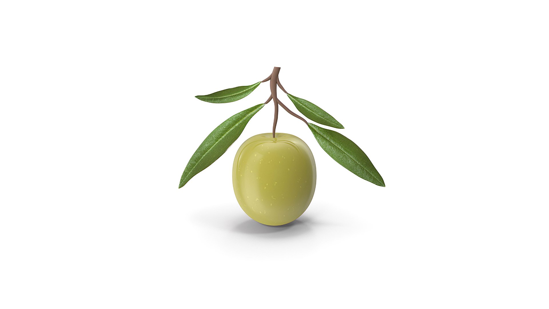 Raw Olive Model - TurboSquid 2044401