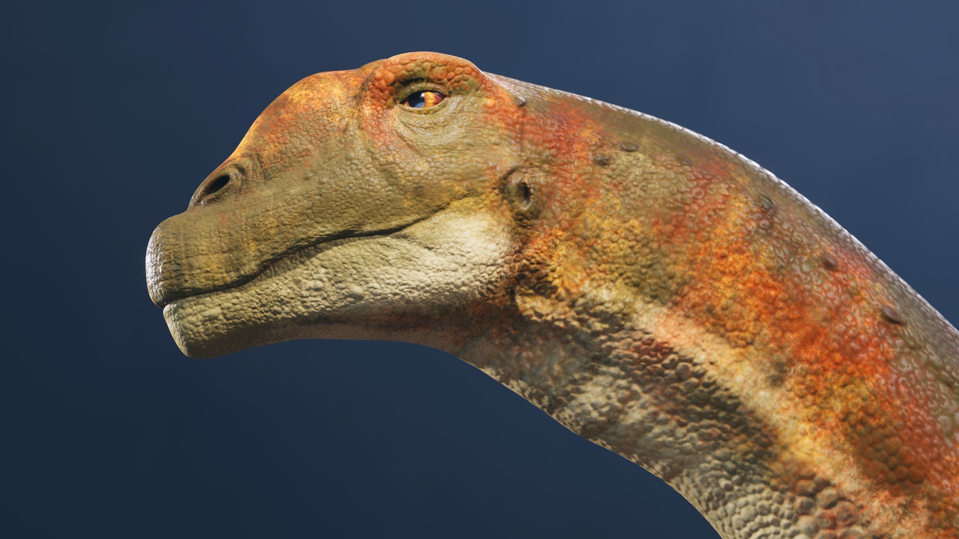 3D Model Argentinosaurus Low Poly RIG - TurboSquid 2043920
