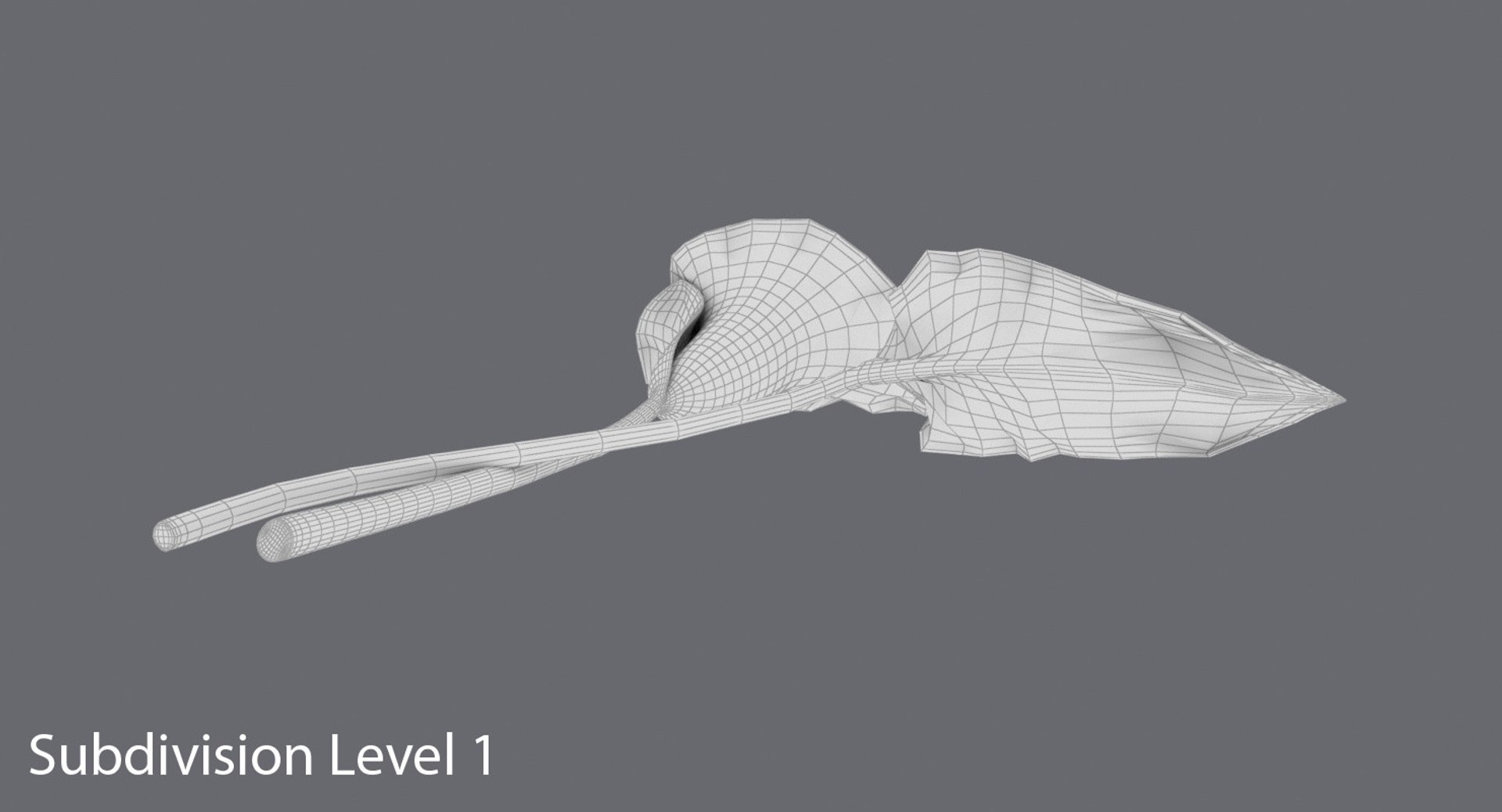 3d Model Calla-lily---single-laying