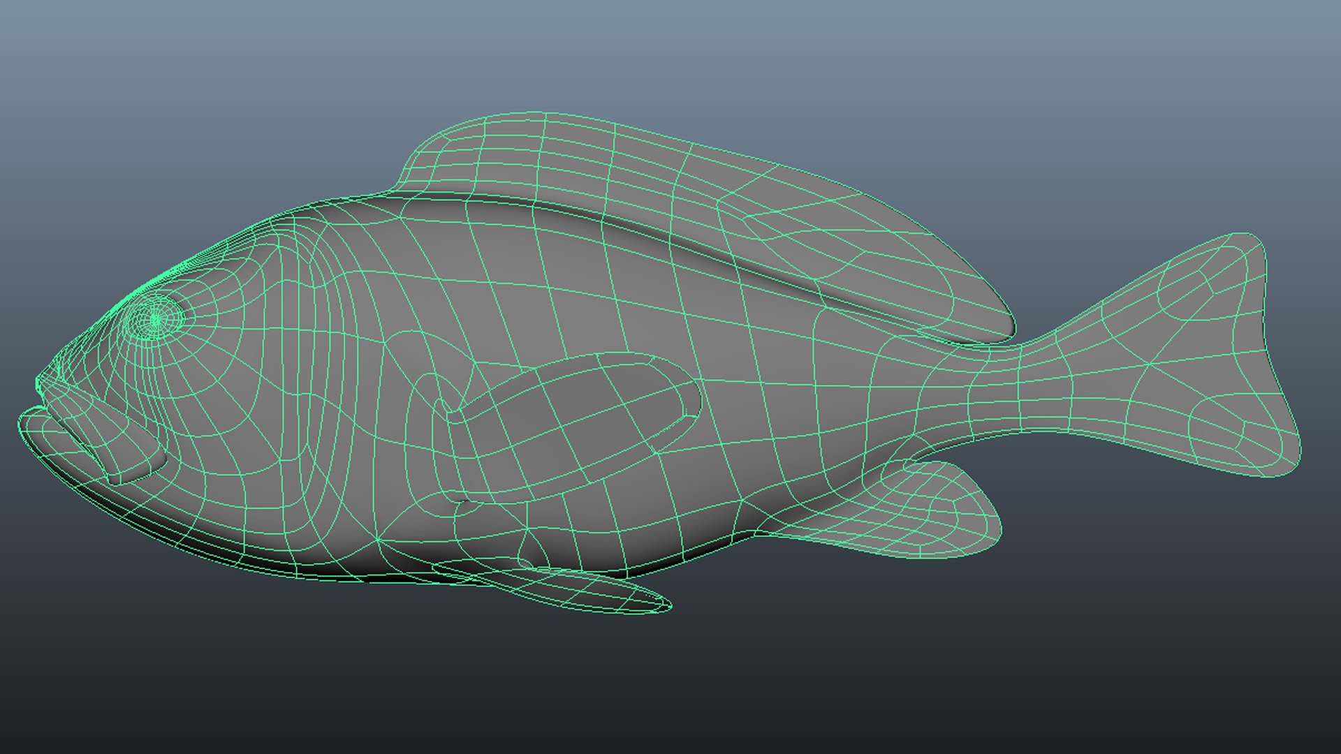 Shortraker Rockfish 3D Model - TurboSquid 1691203